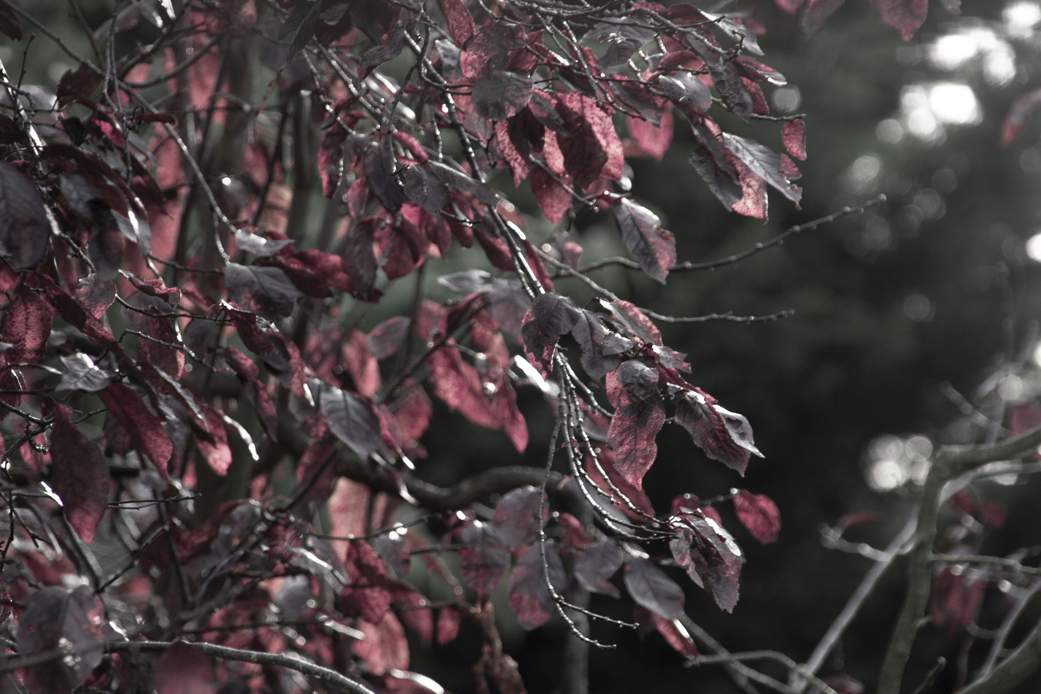 Charlie Smith (@smcharlie) | Unsplash Photo Community