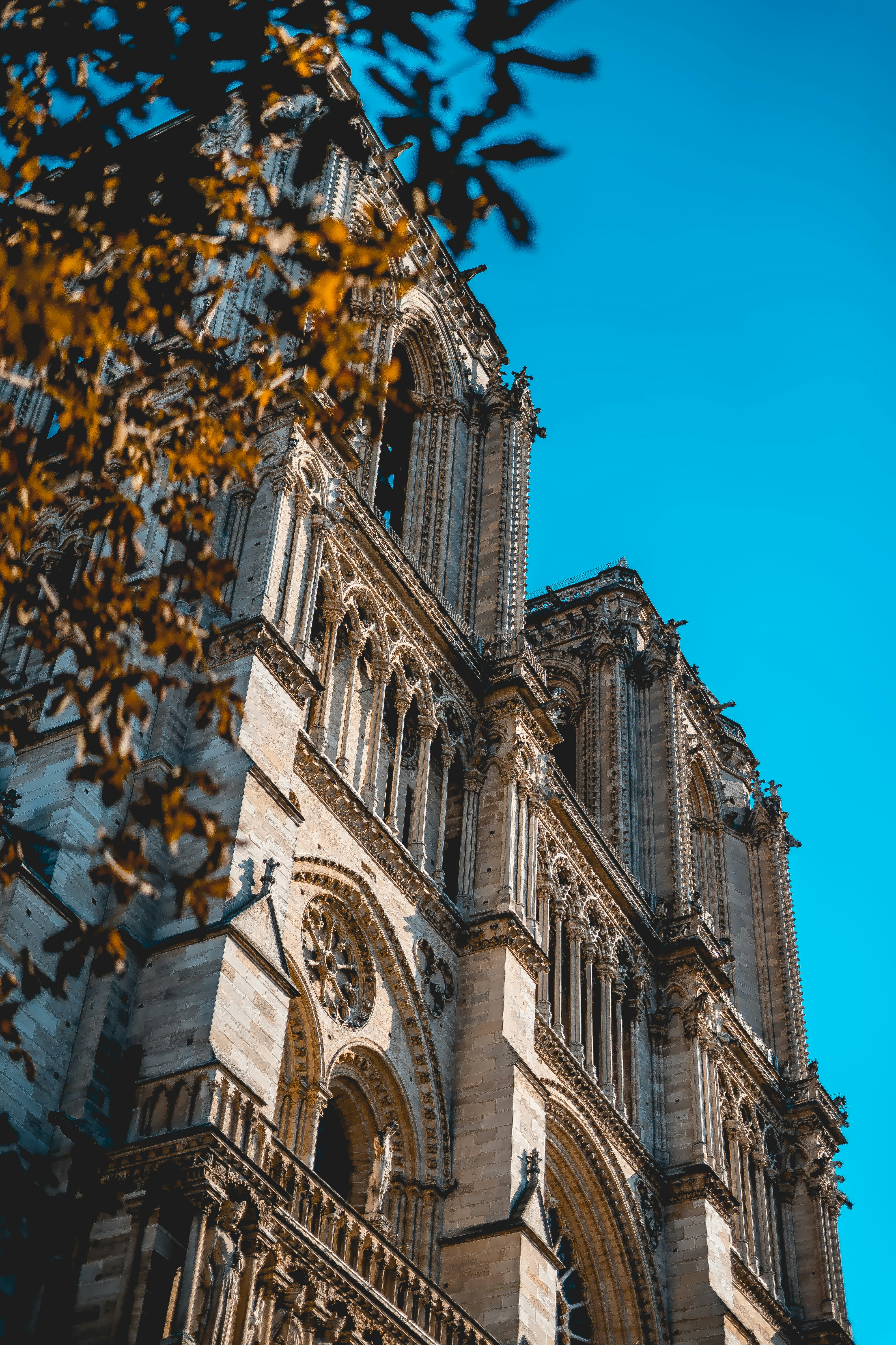 Intricate Gothic architecture of a cathedral rising majestically against a vibrant blue sky, framed by autumn leaves.
