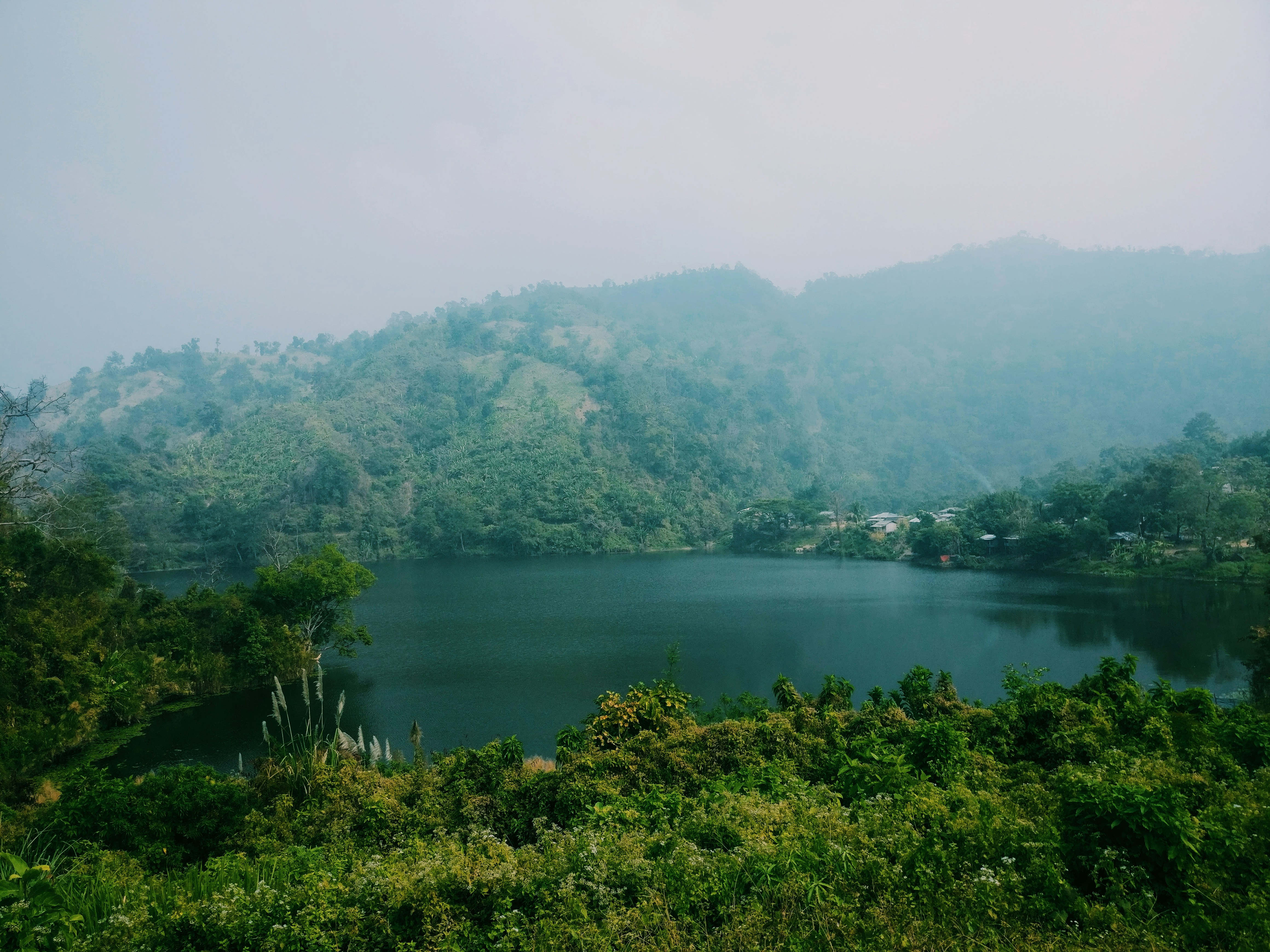 Green trees surrounding body of wa ter photo – Free Boga lake Image on ...