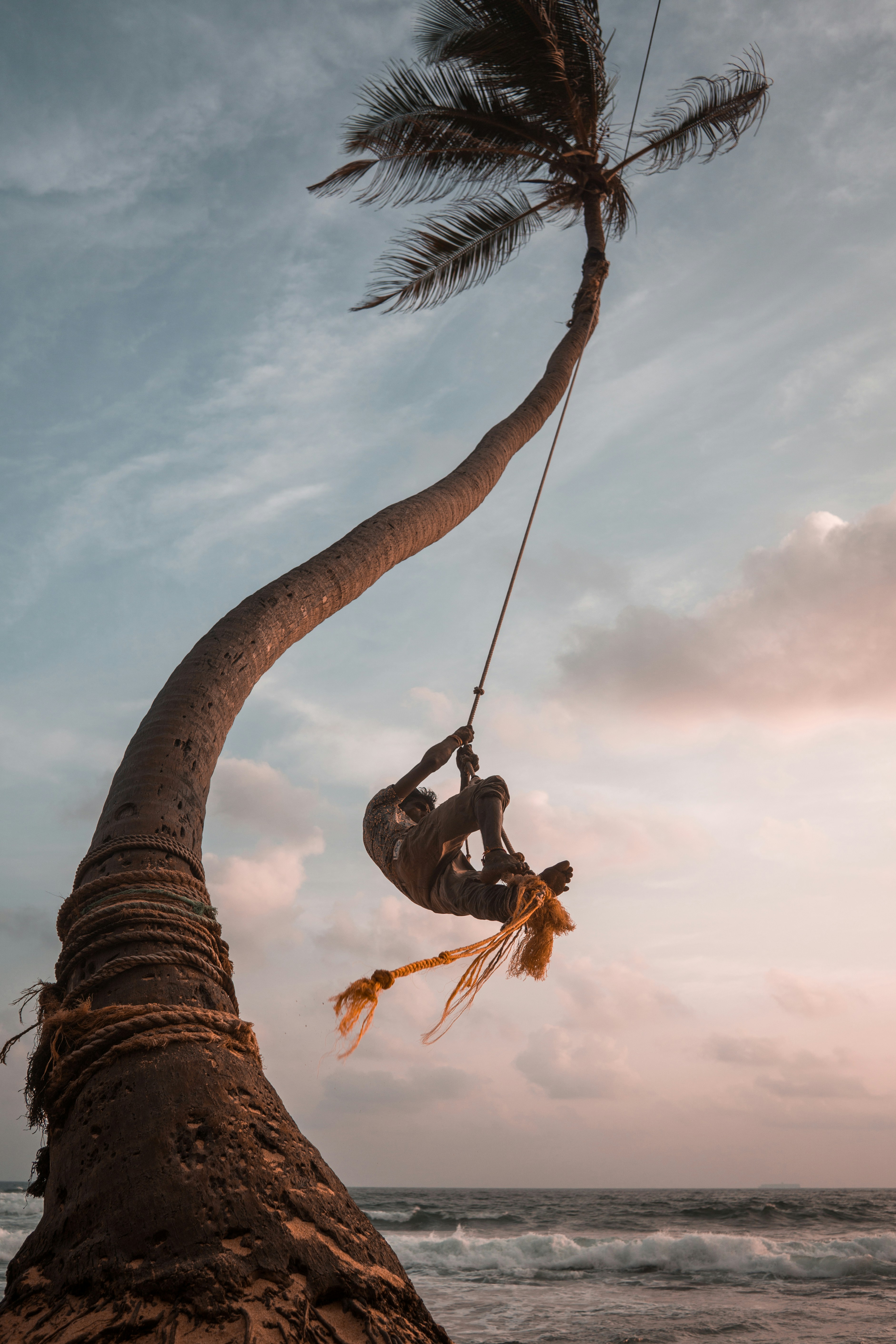 Low-angle photography of man hanging on rope photo – Free Sri lanka ...