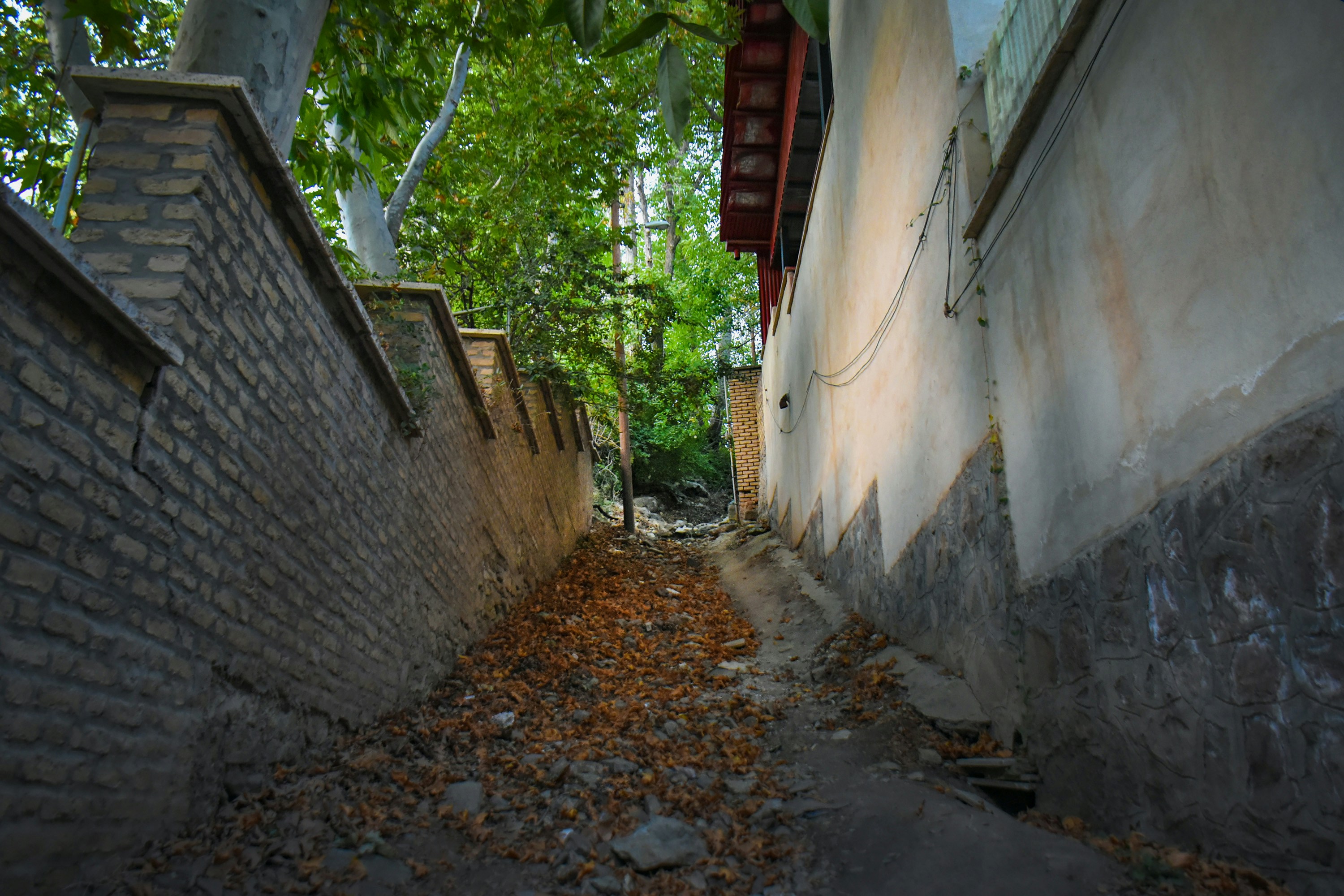 At the first of autumn.
