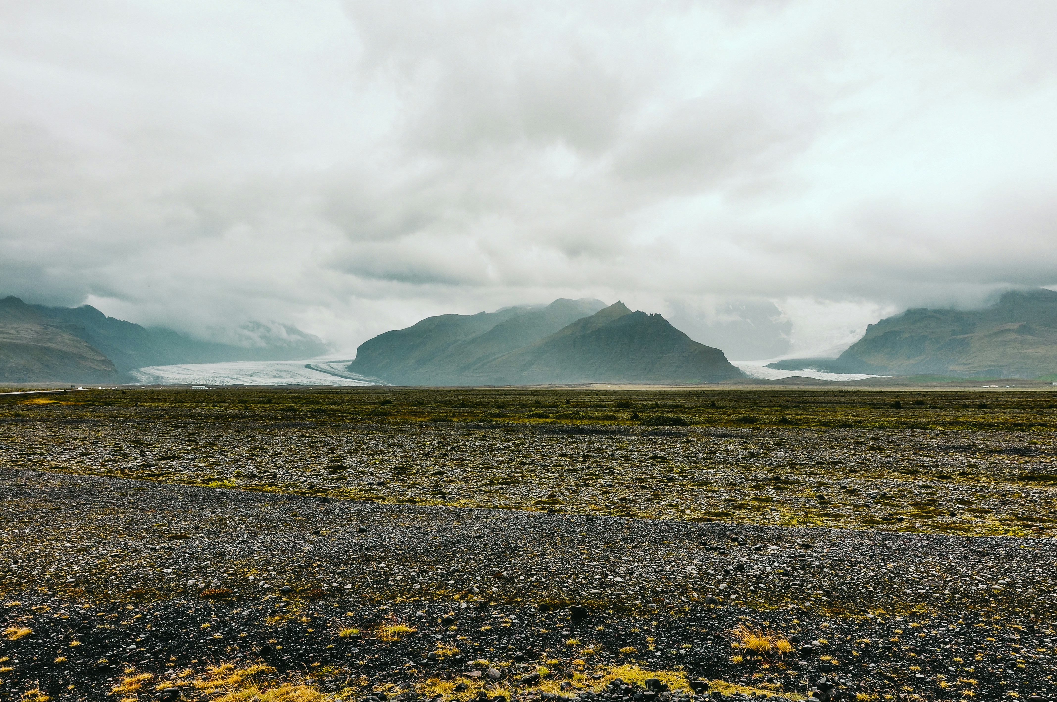 500+ Tundra Pictures [HD] | Download Free Images on Unsplash