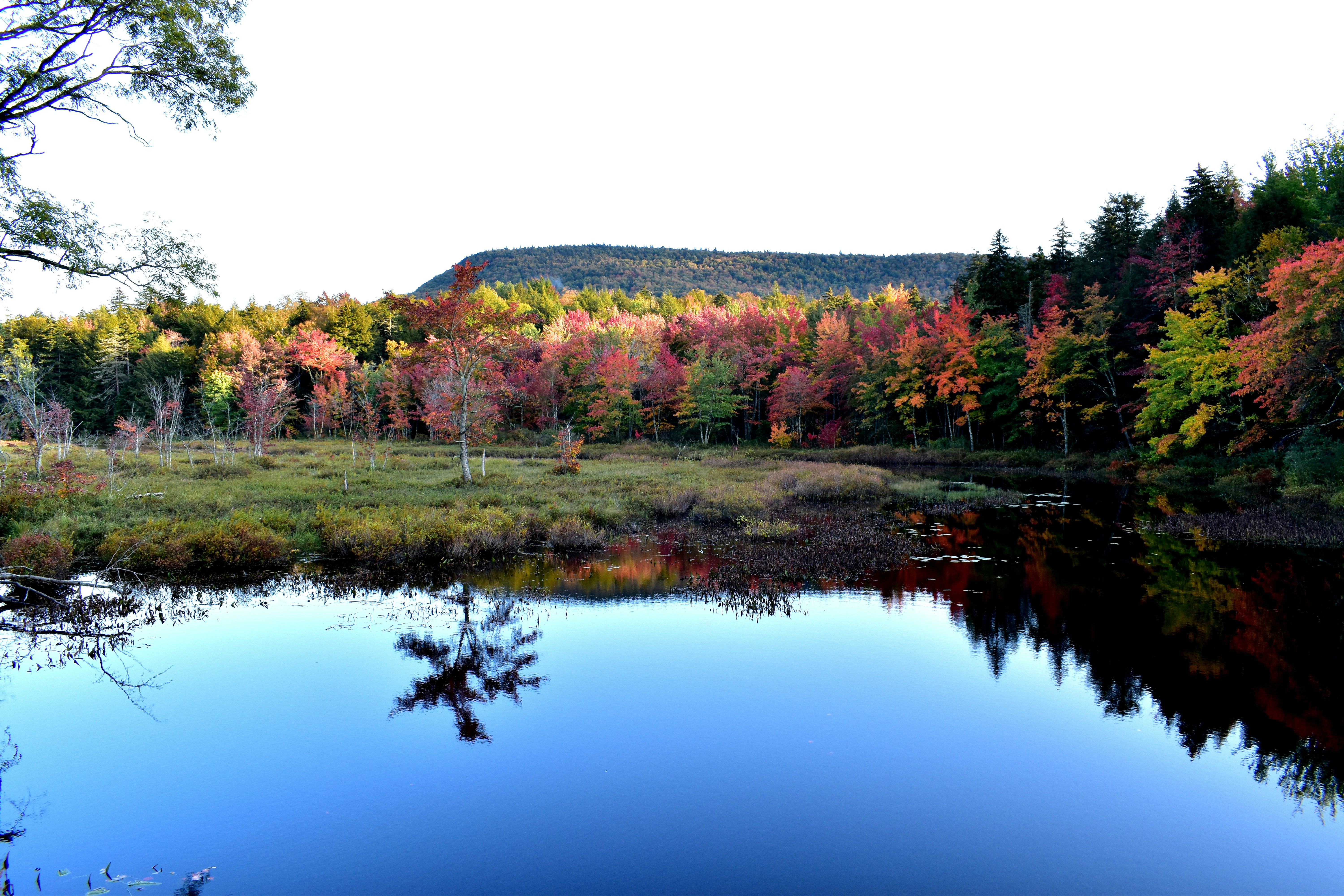 Crimson Line Across a Glassy Lake: Autumn Reflections