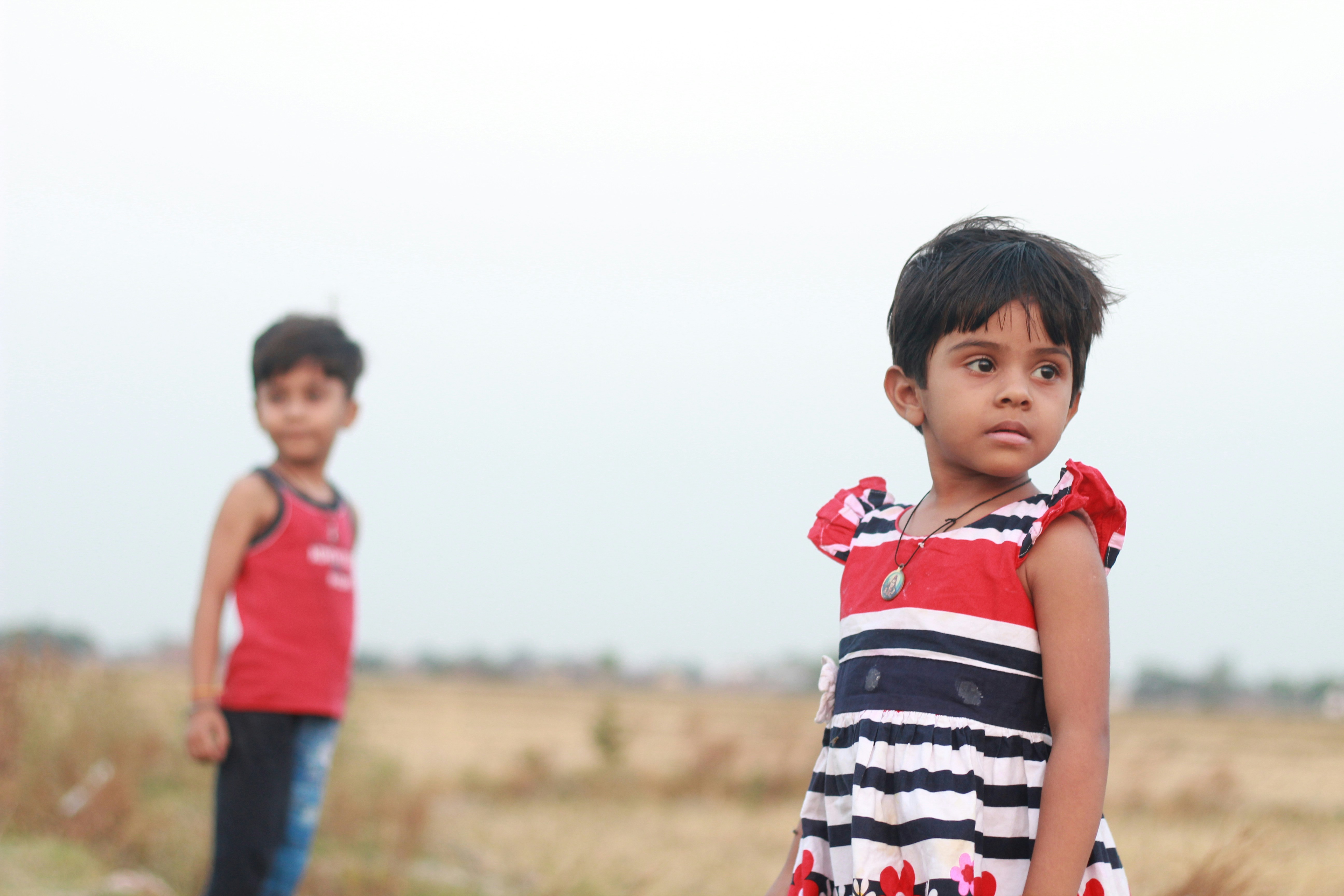 Définition de cousin | Dictionnaire français
