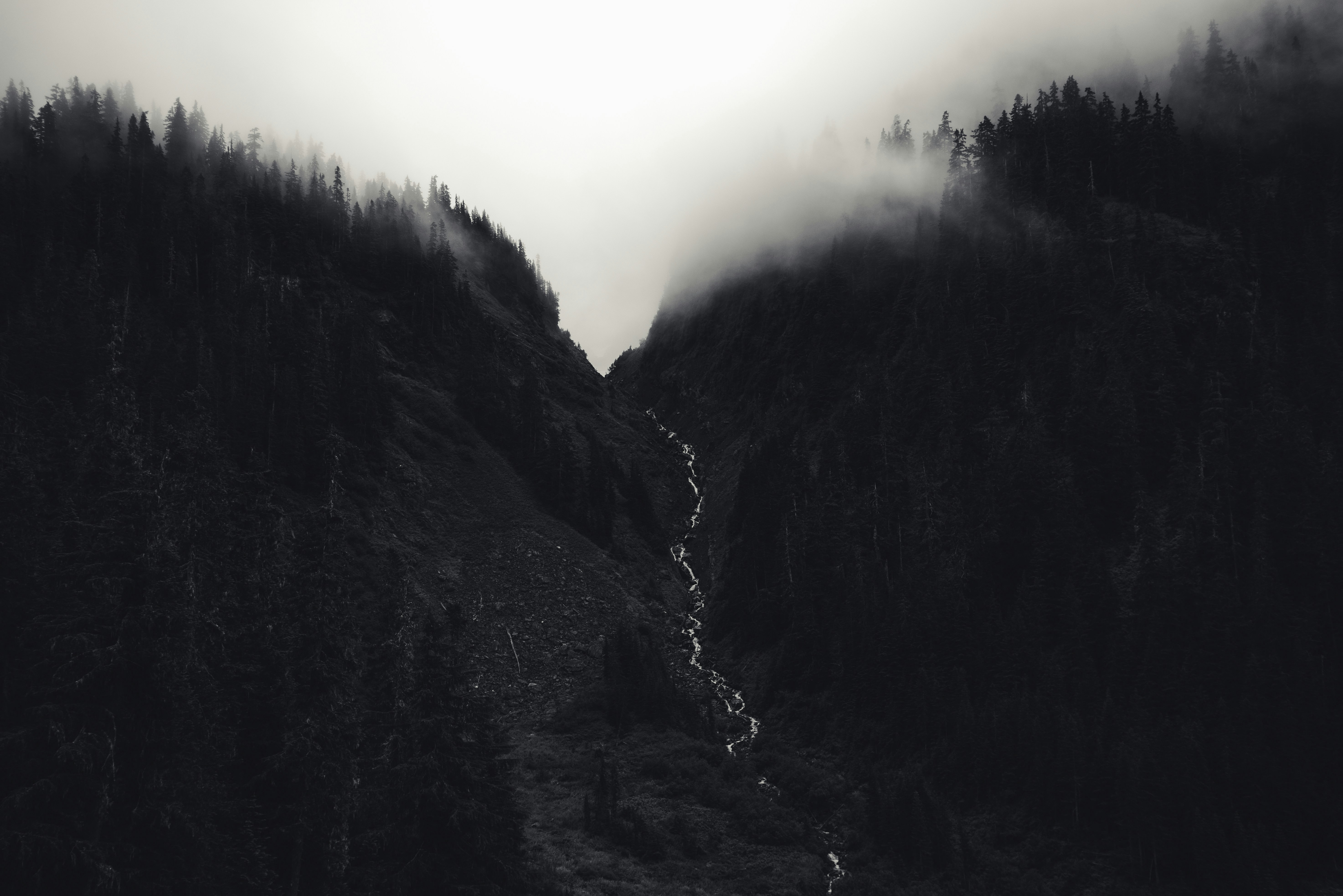 Veiled Ridge: A Silver Thread Tracing the Dark Valley