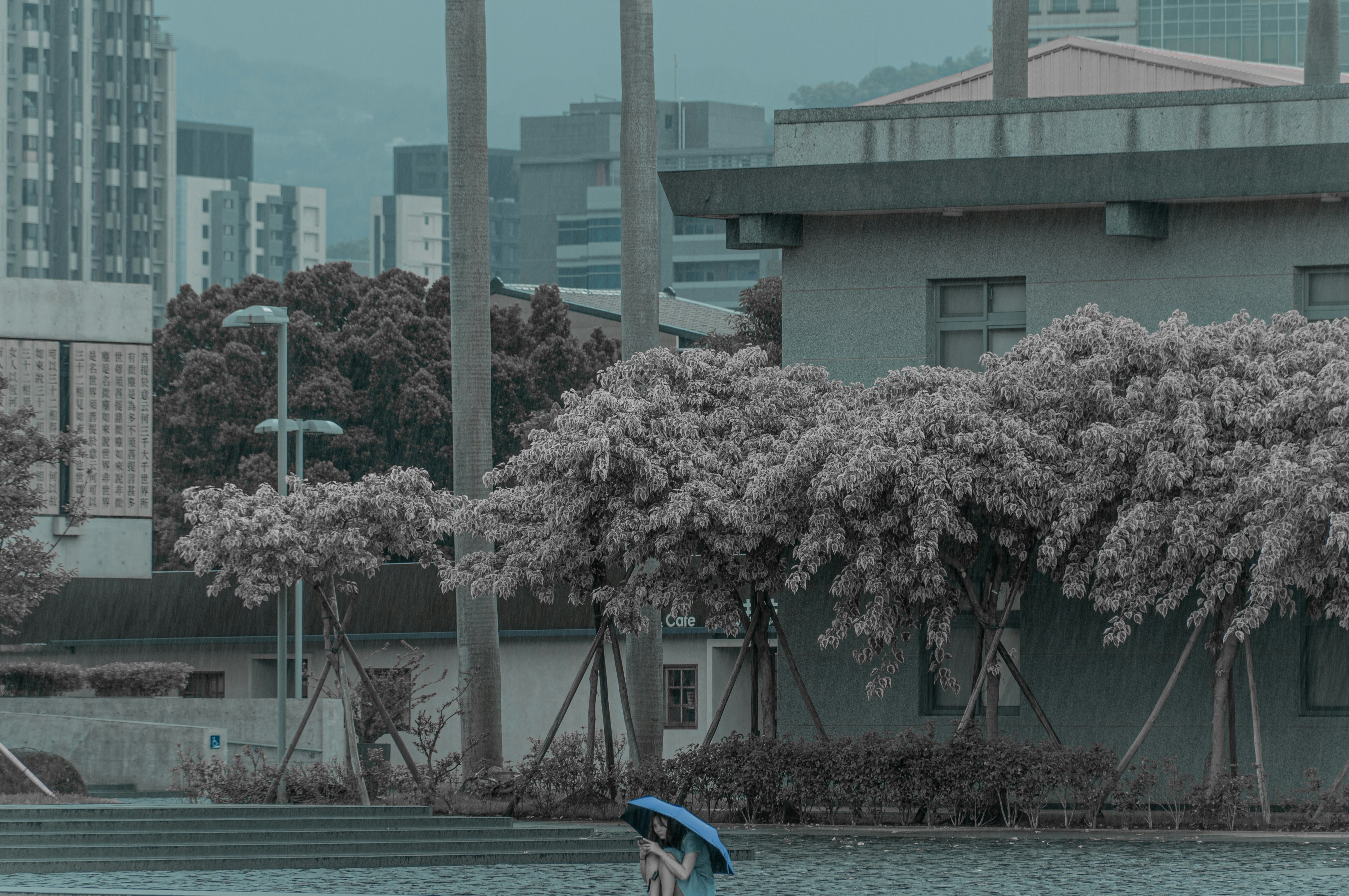 Blue Umbrella at the Edge of a Calm City Park Under Pale Skyline