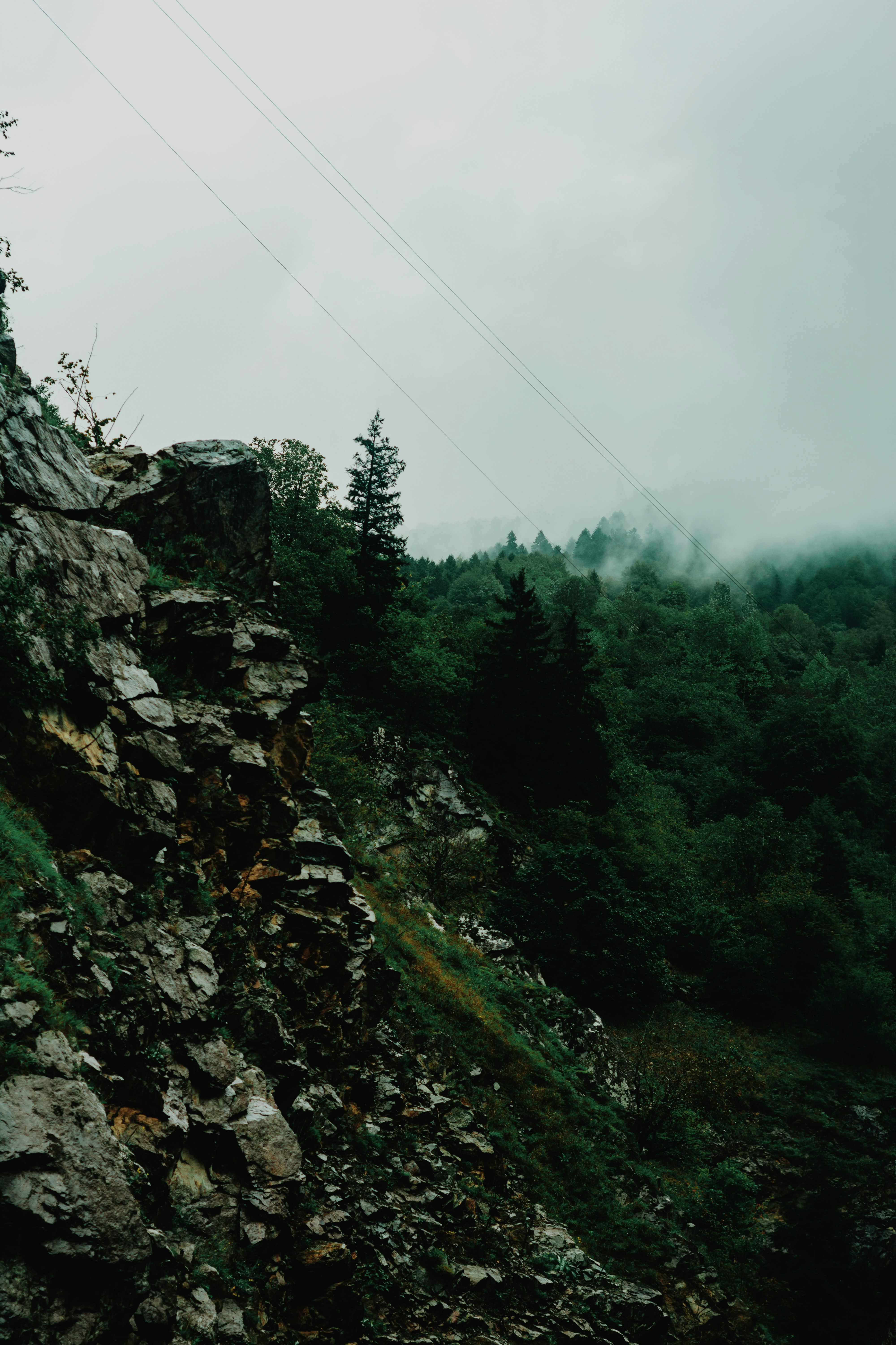 Granite Ledge Framed by Fog and Forest