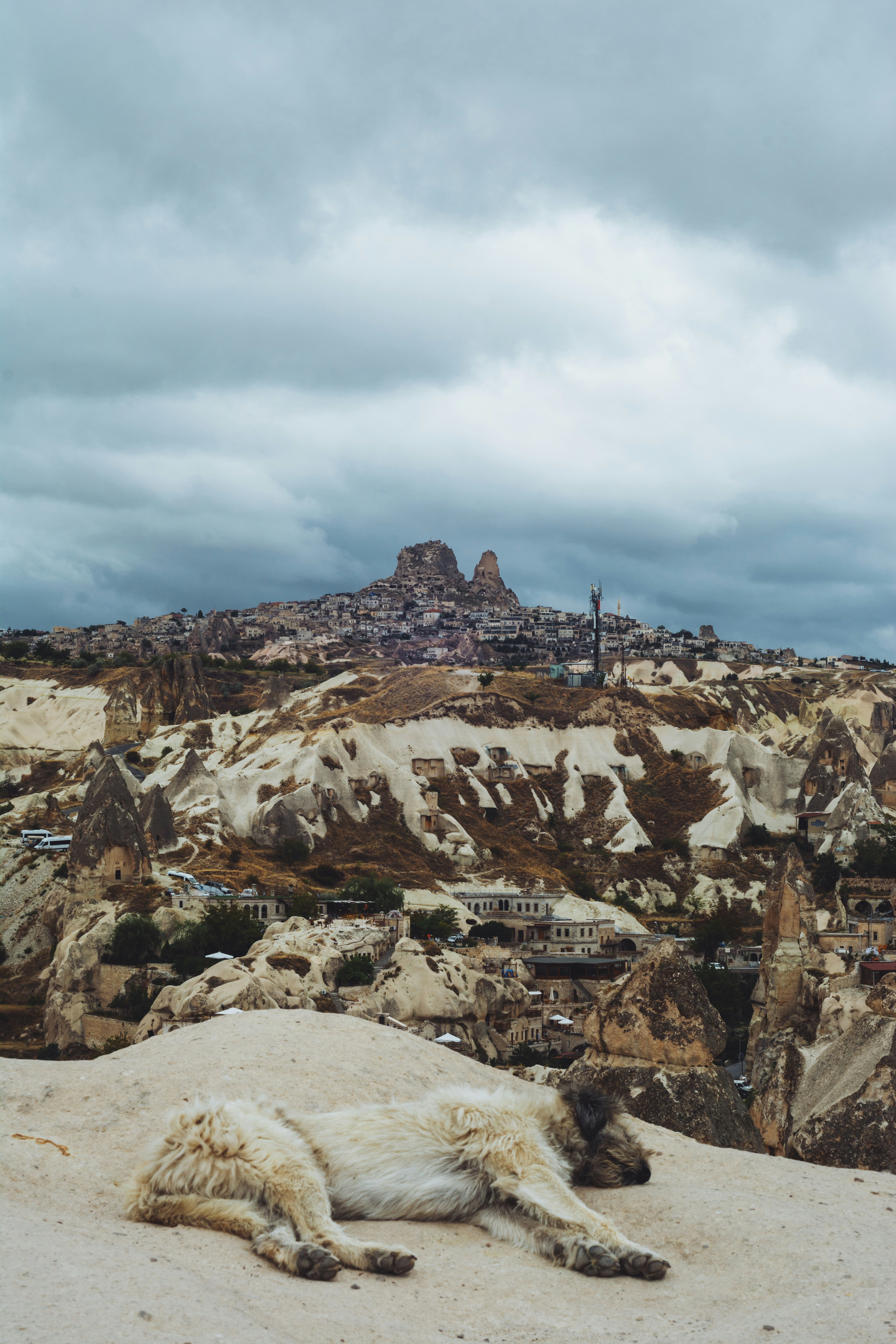 A sleeping dog rests on a rocky outcrop with a backdrop of unique rock formations and an ancient settlement in Cappadocia.