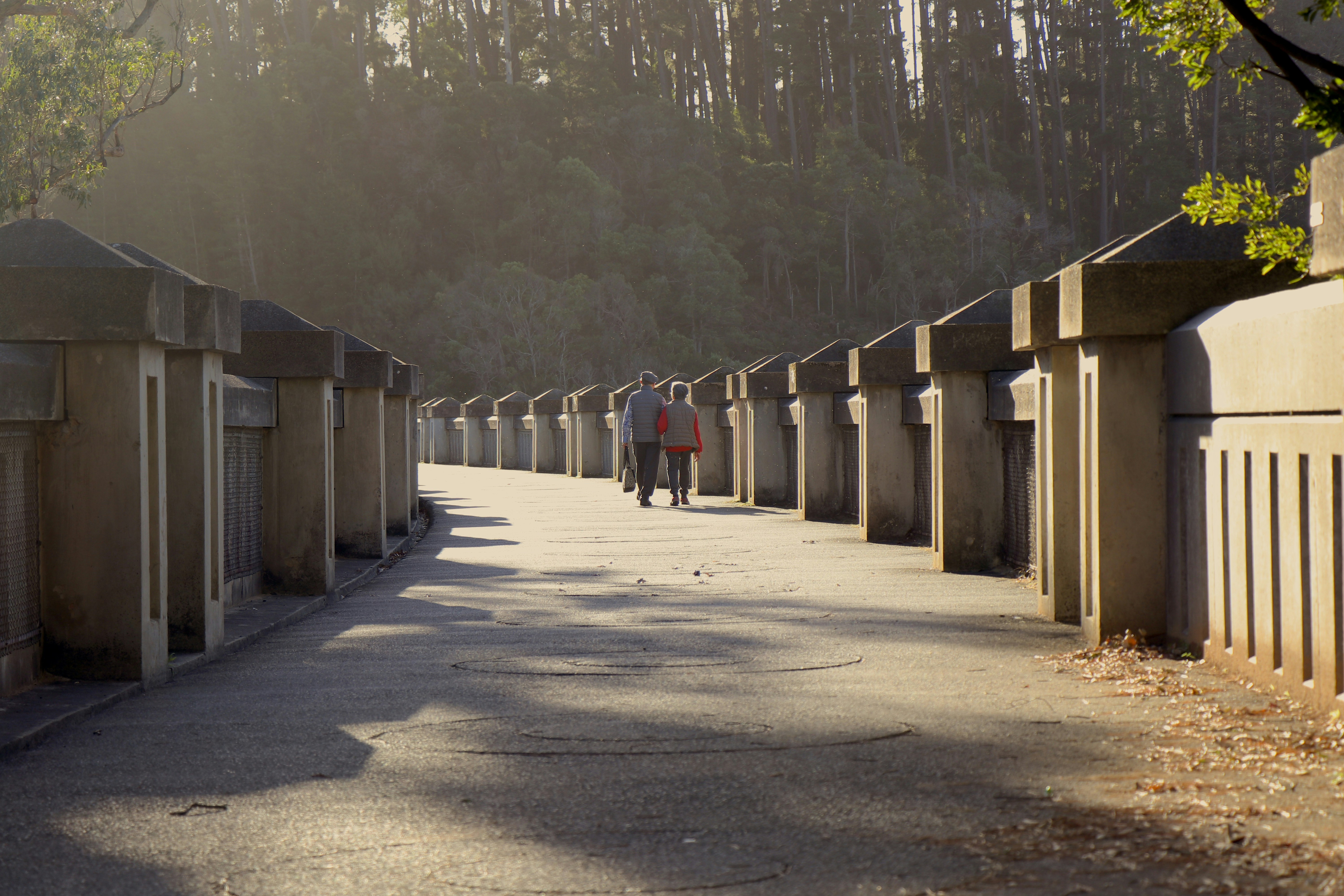 Bilder zum Thema Victoria Damm | Kostenlose Bilder auf Unsplash ...