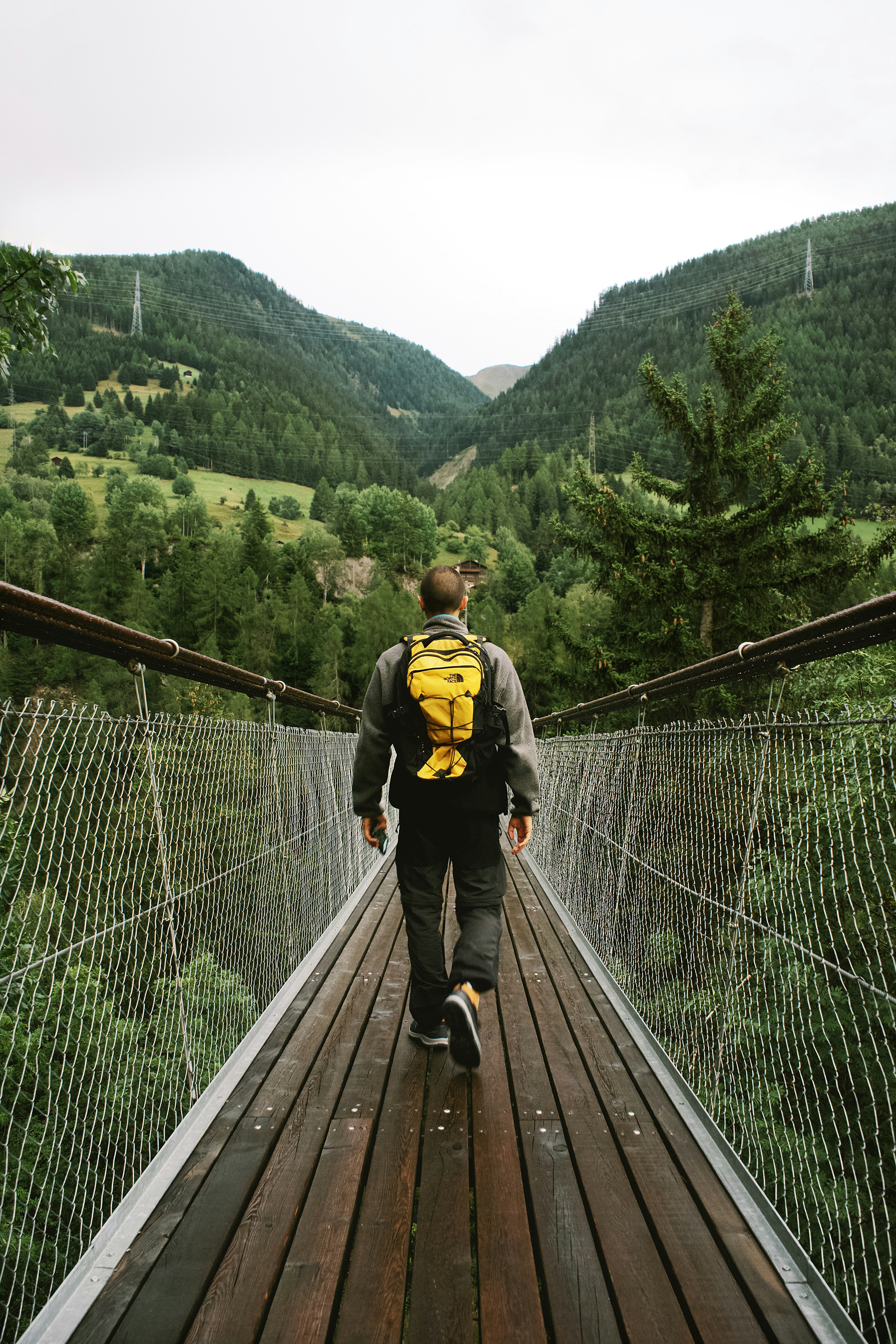 Man walking on bridge near trees during day photo – Free Bridge Image ...