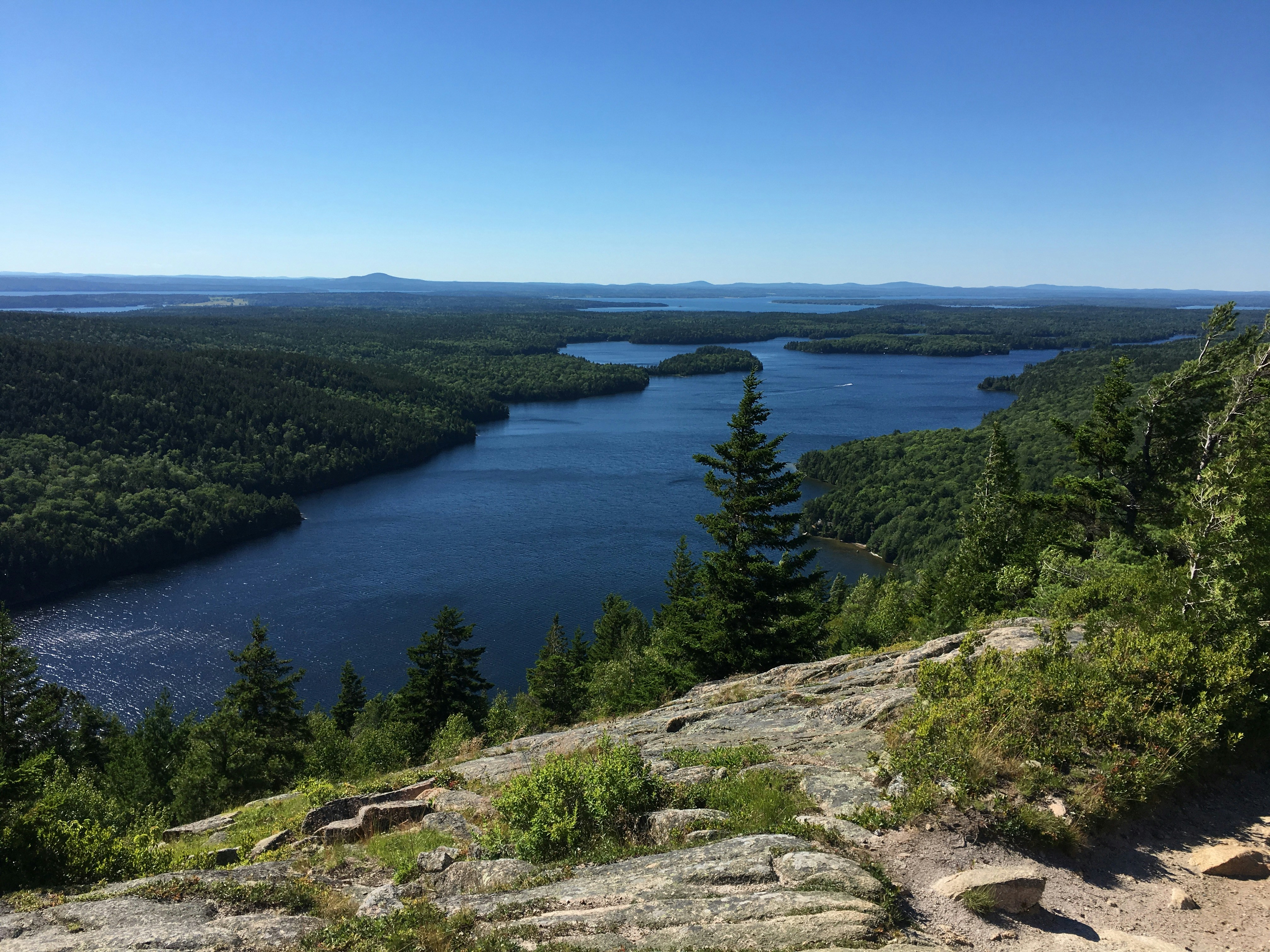 Calm water surrounded by trees at daytime photo – Free Acadia national ...