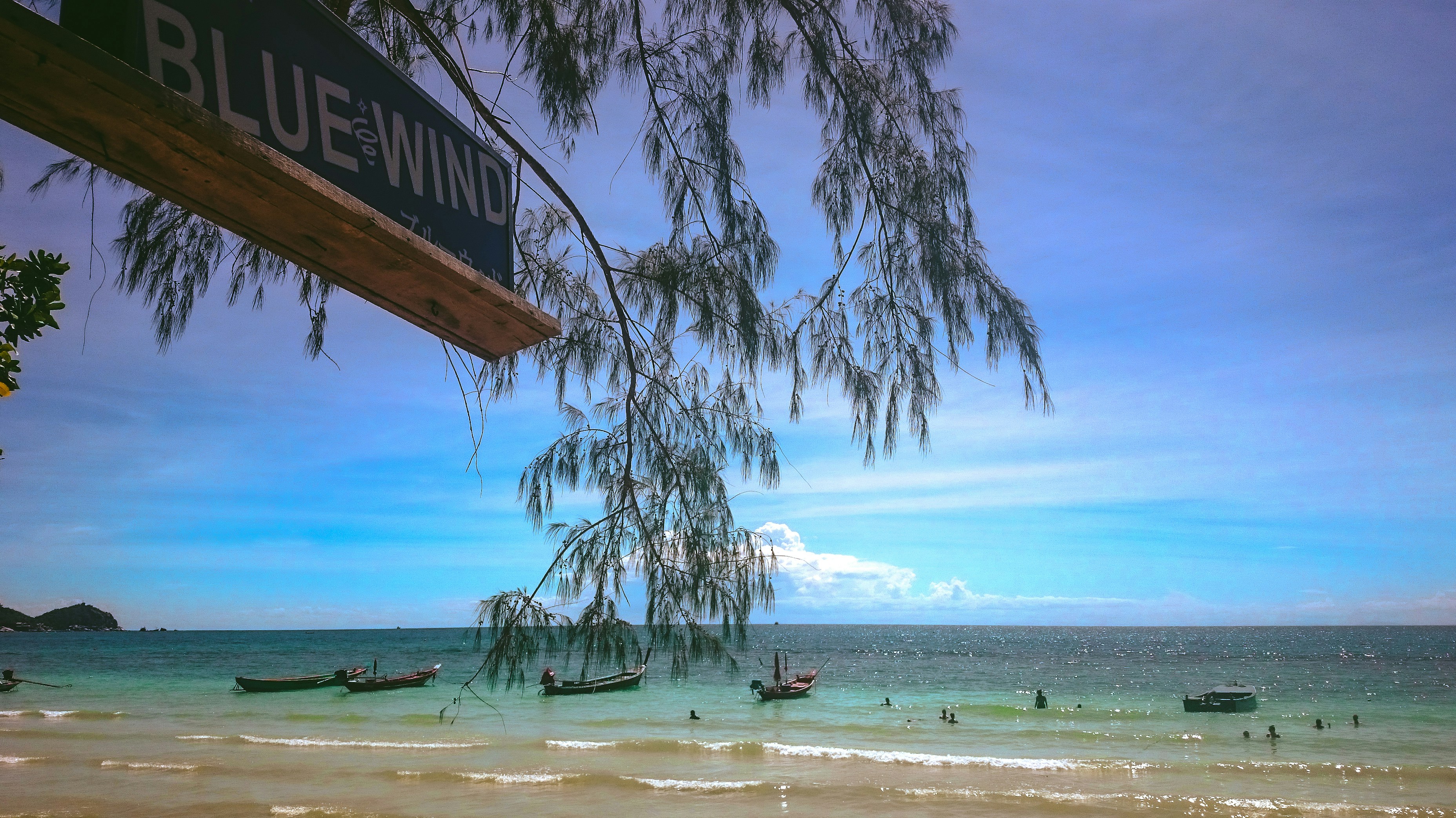 Photo of a sunlit beach with turquoise water and several small boats near the shore, framed by hanging branches and a sign reading BLUE WIND.