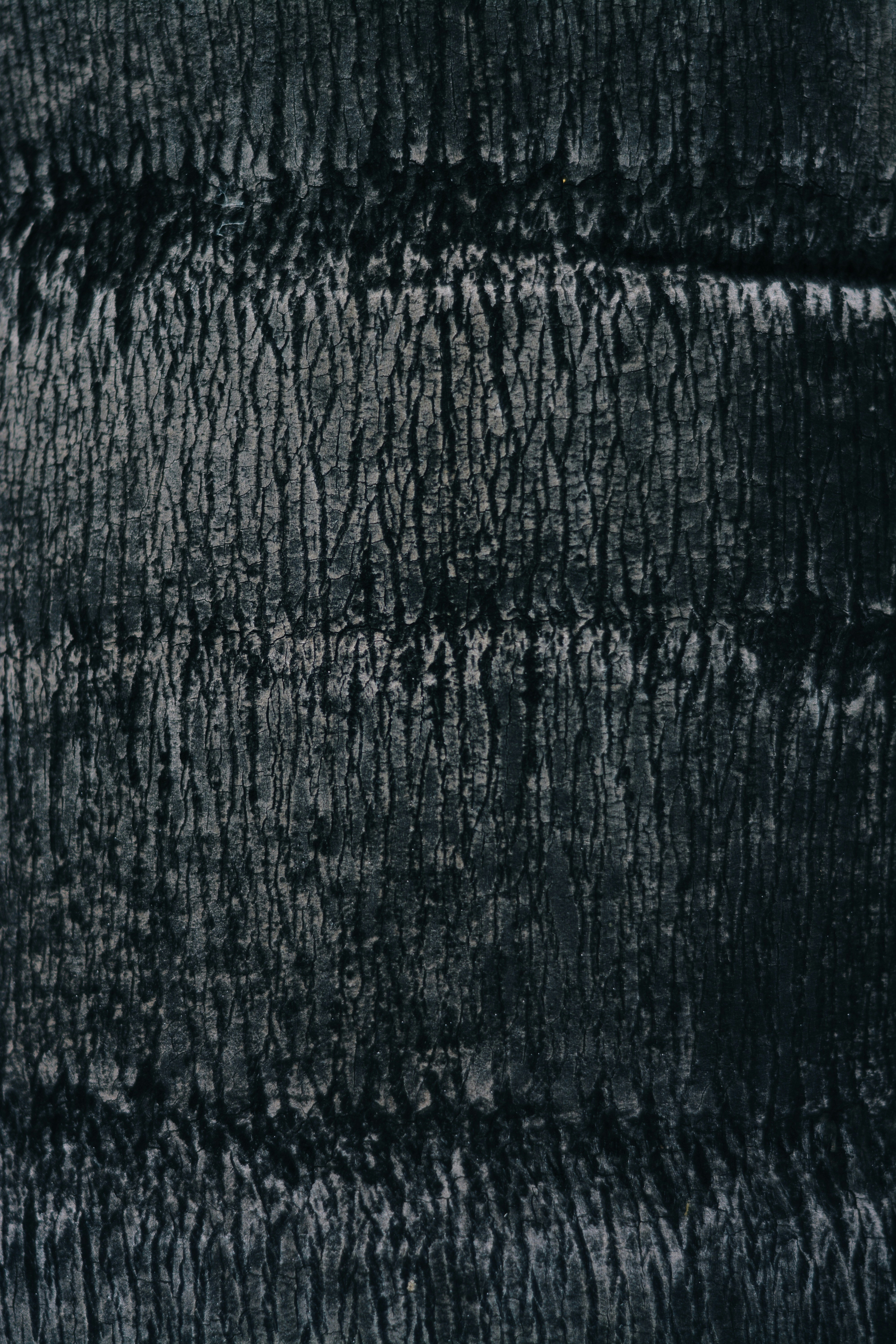 Grayscale wood photography photo – Free Texture Image on Unsplash