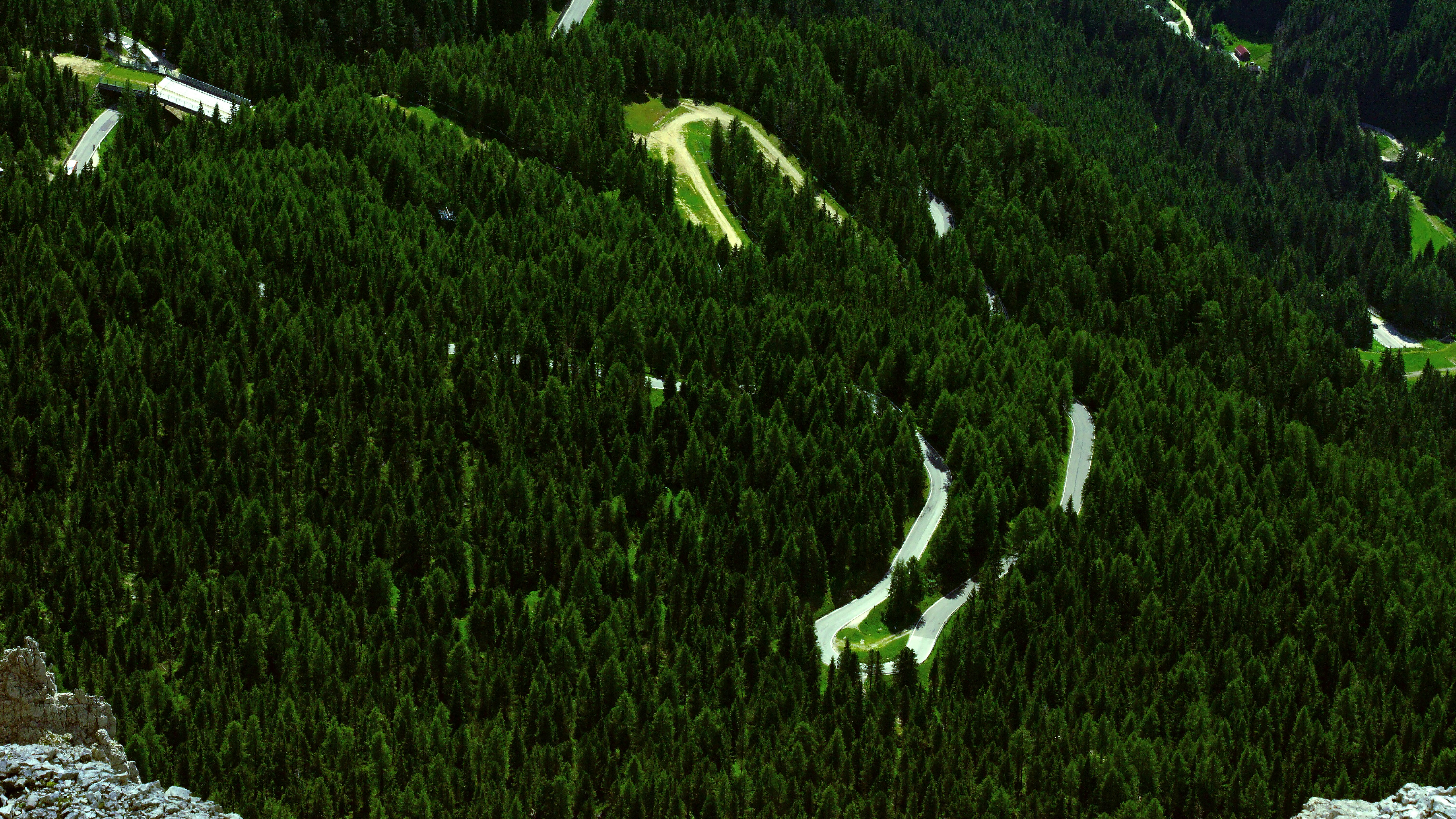 Forest during day photo – Free Forest Image on Unsplash