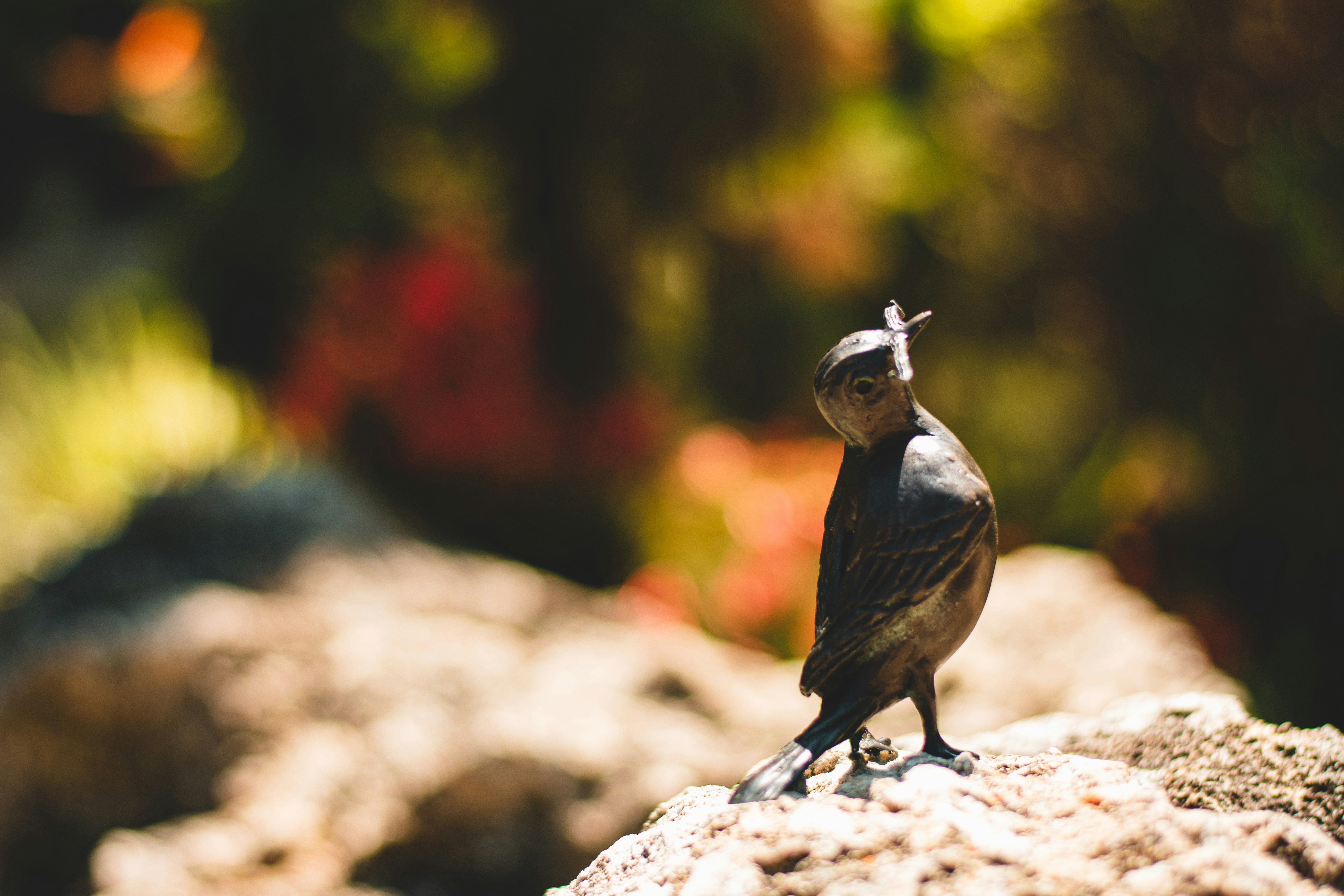 A bird perched on a rock, delicately holding a small insect in its beak, surrounded by a lush, blurred background of greenery and flowers.