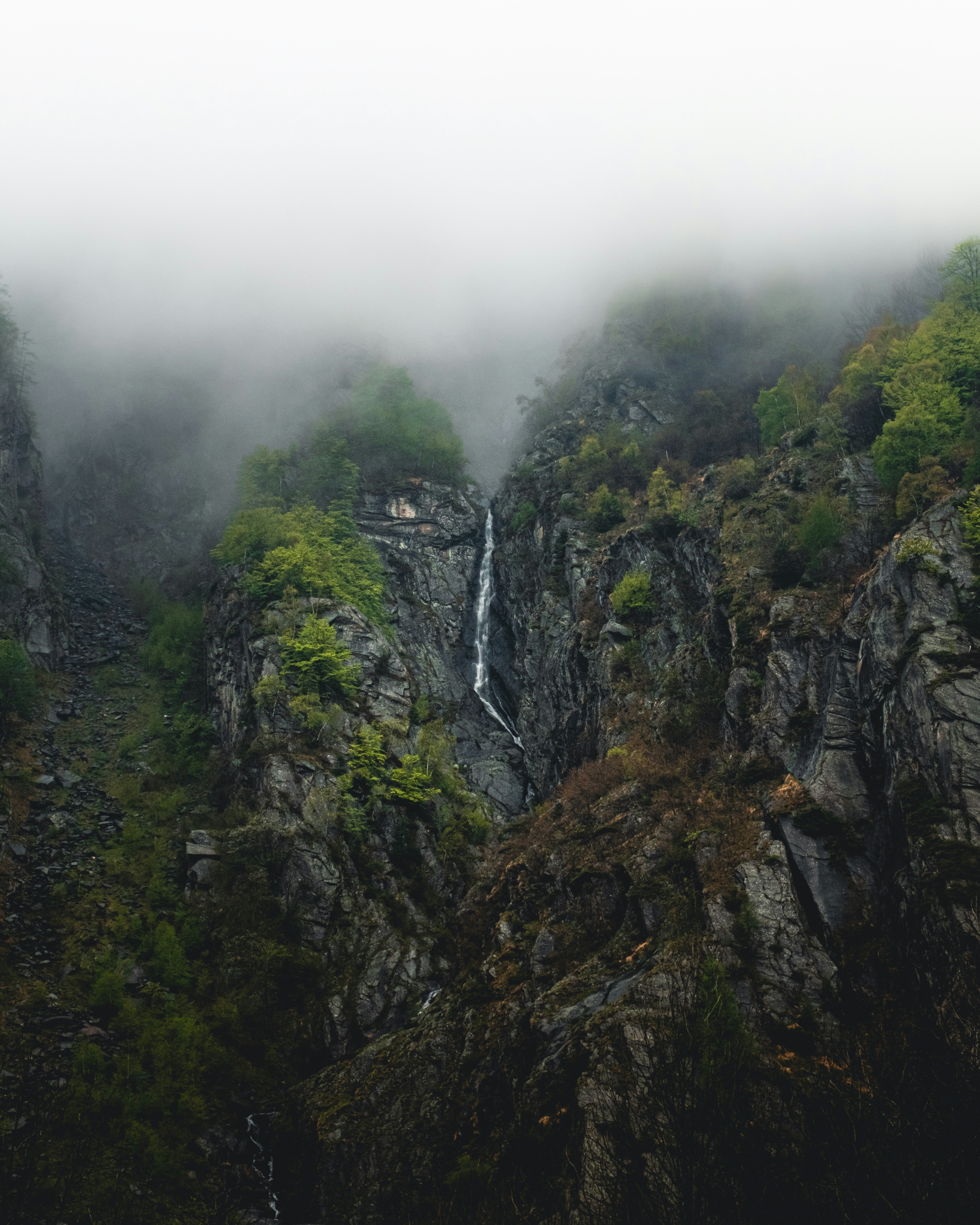 A hidden waterfall flows between rugged cliffs shrouded in mist, surrounded by vibrant greenery. The atmosphere evokes a sense of mystery and tranquility.