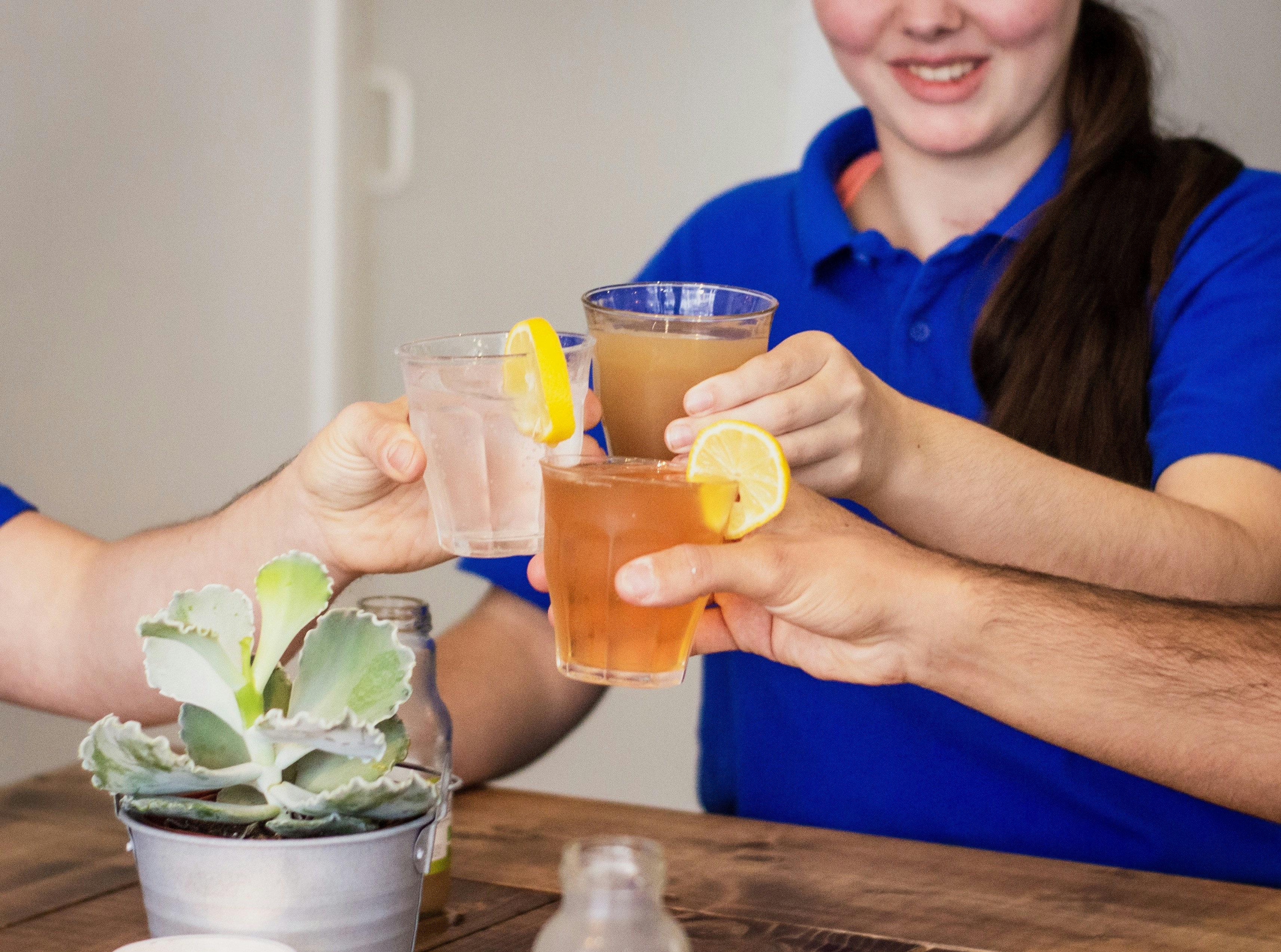 Toasts in Tandem: Shared Drinks Raised Over a Small Succulent</n>
