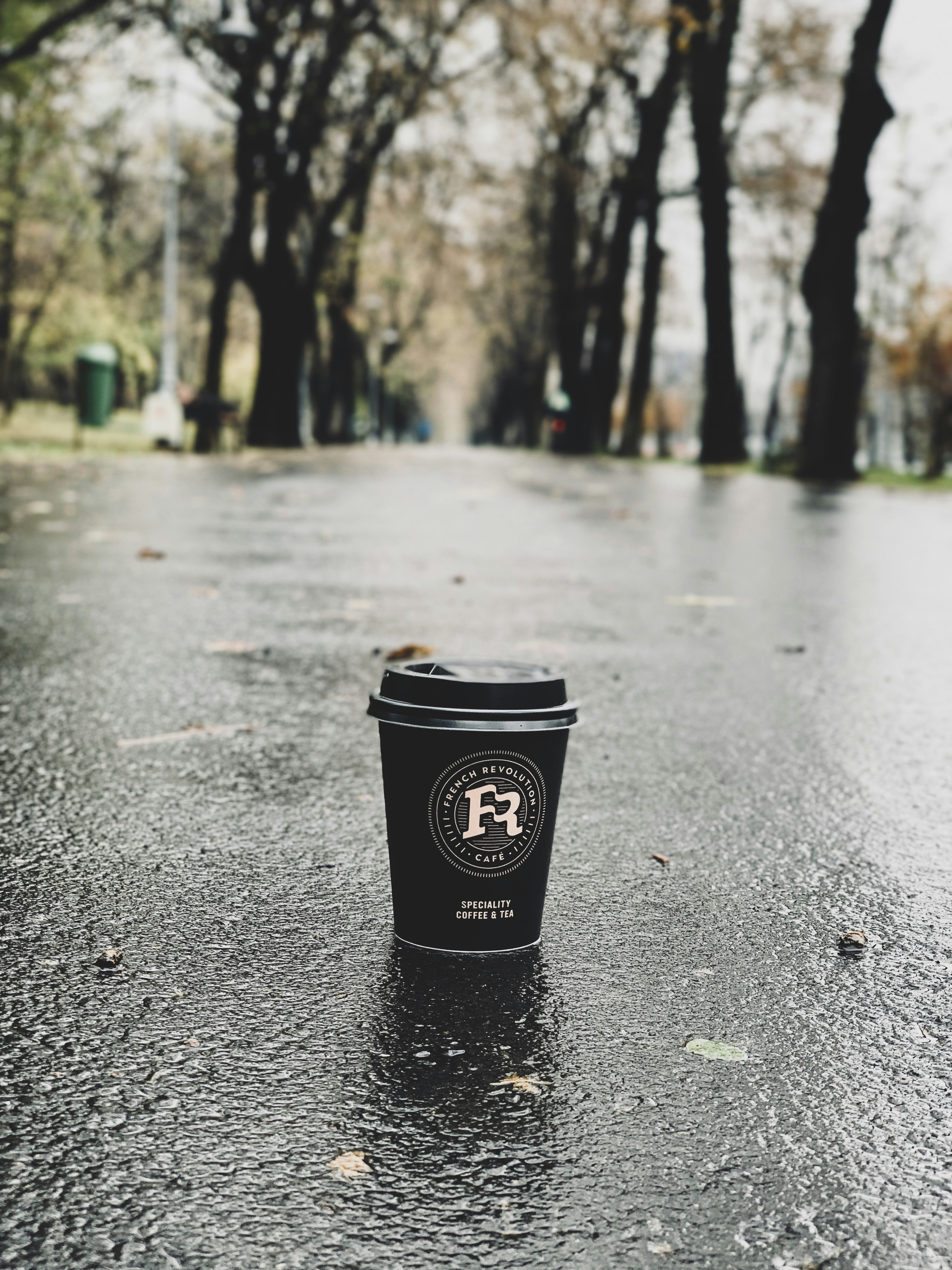 Solitary Takeaway on a Rain-Slick Park Path
