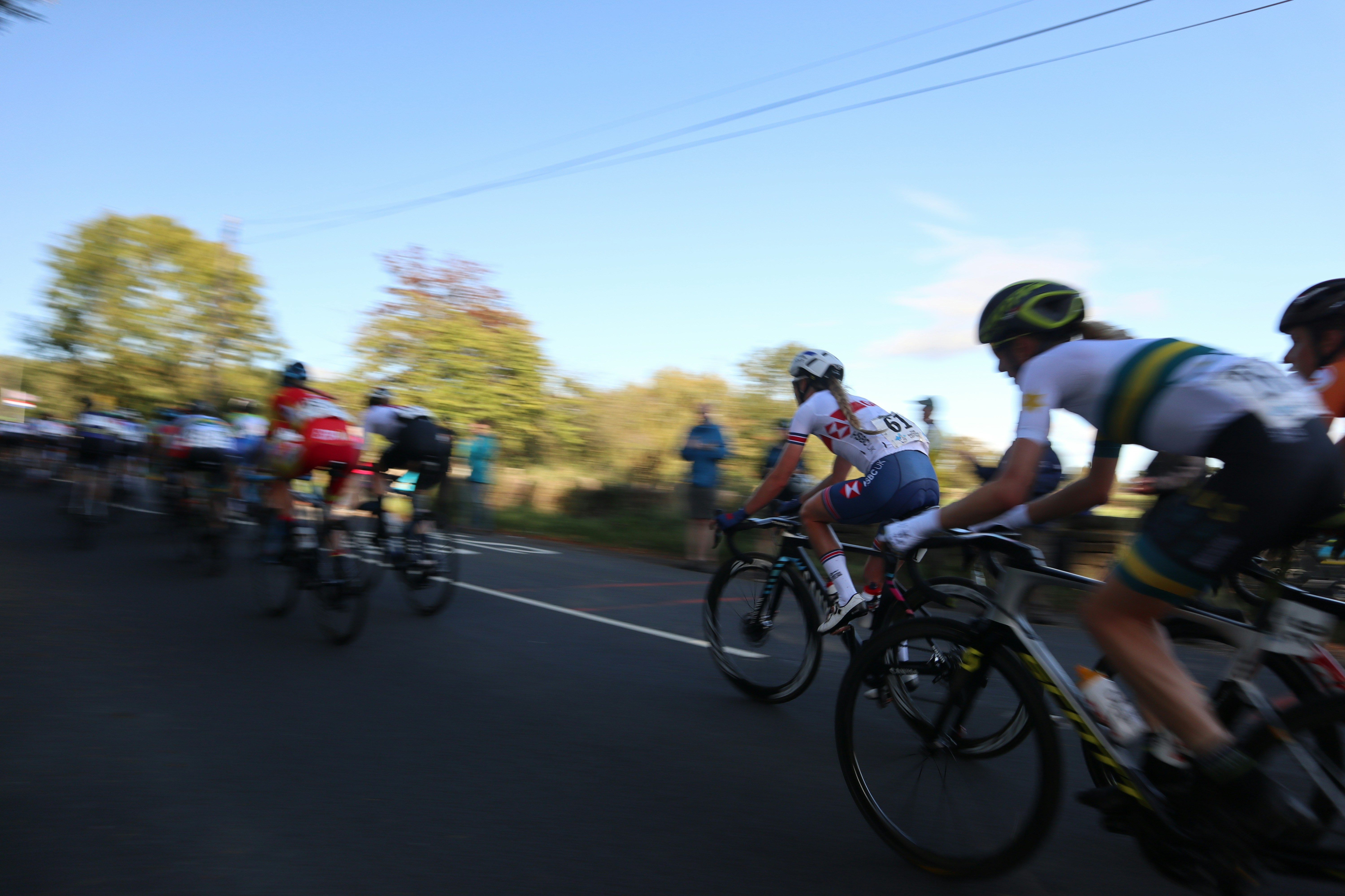 Cyclists race along a sunlit rural road, trees and spectators lining the route.