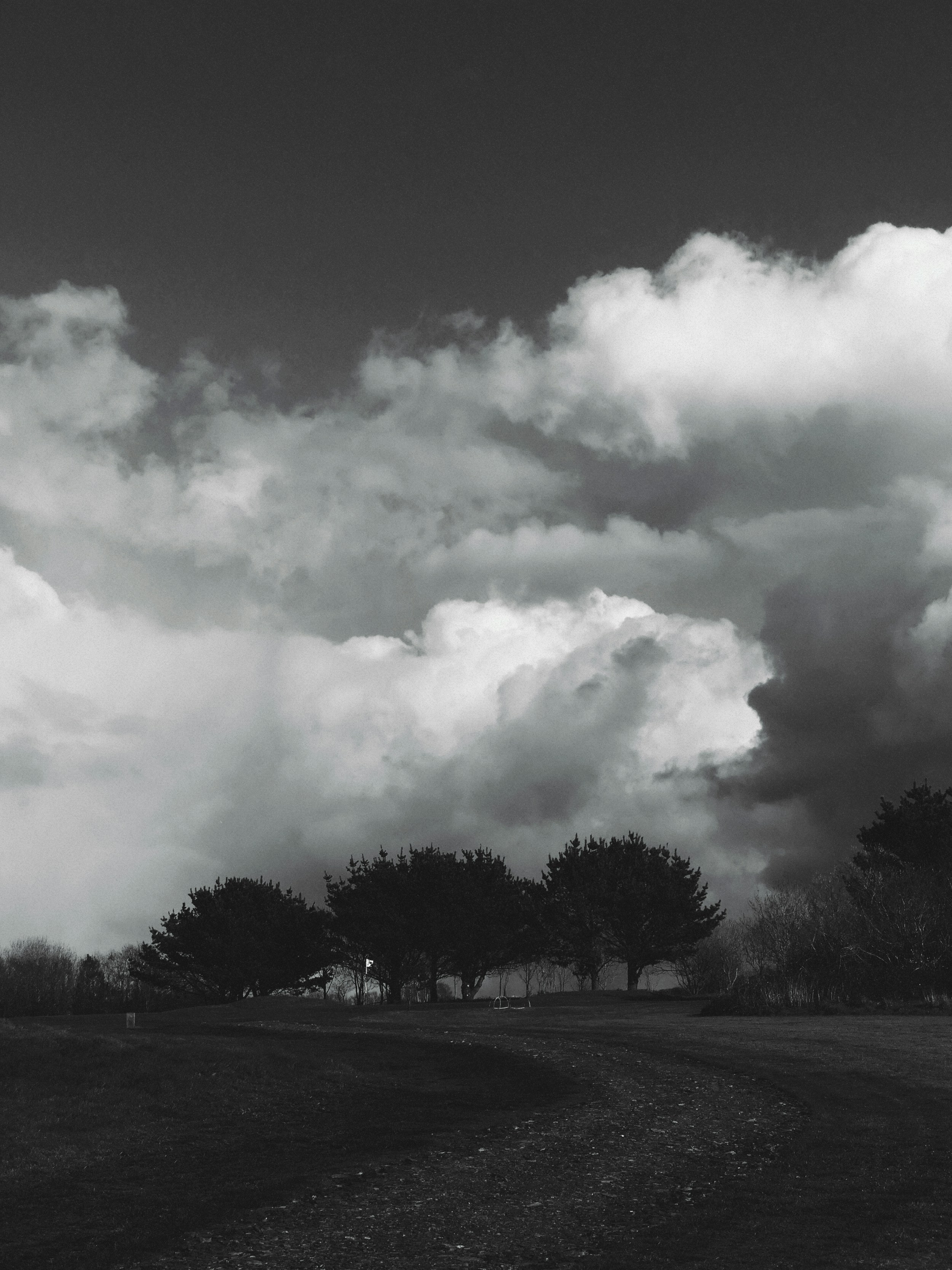 Clouds Over a Quiet Path: A Black-and-White Moment