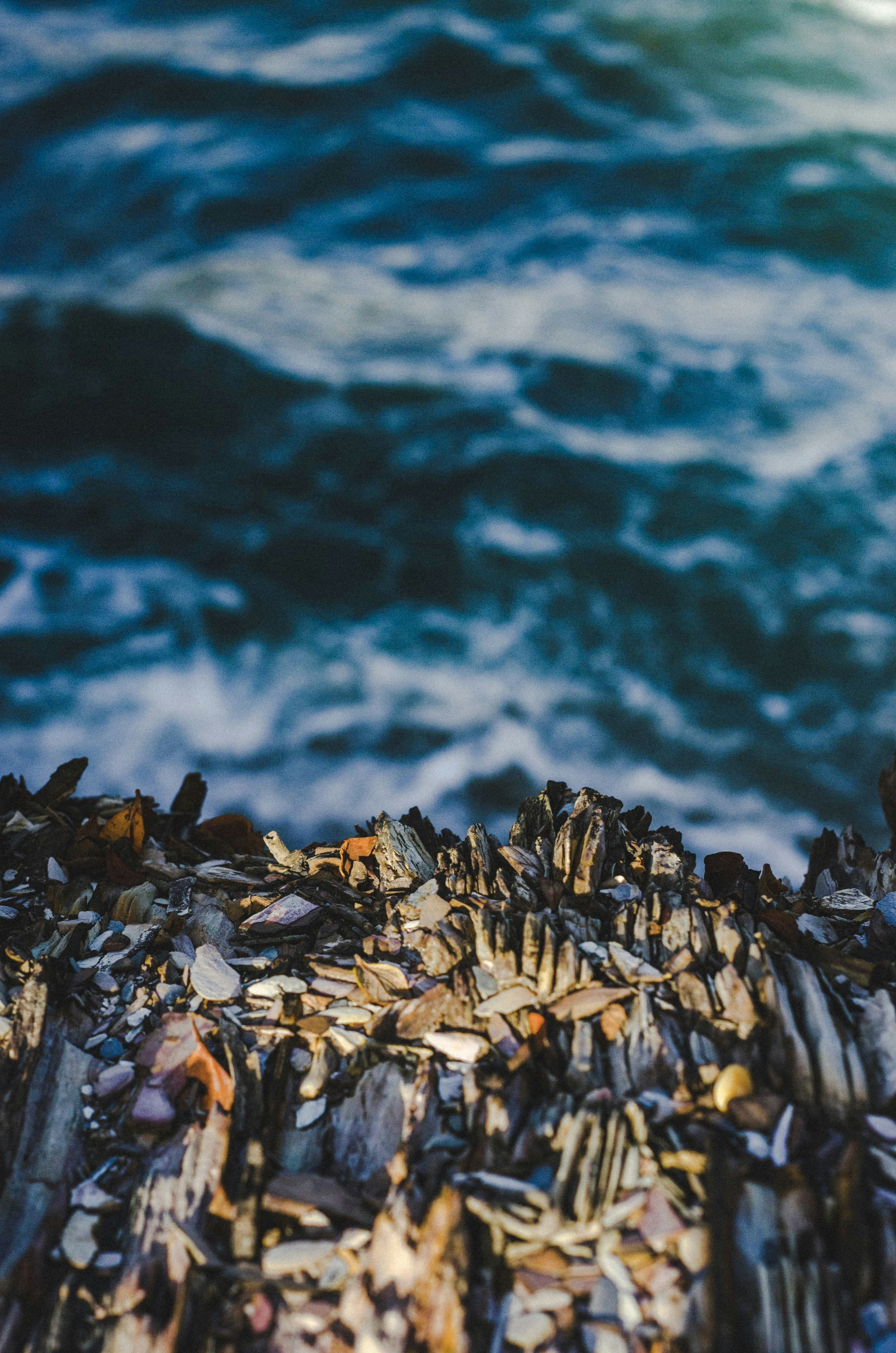 rocks by sea water