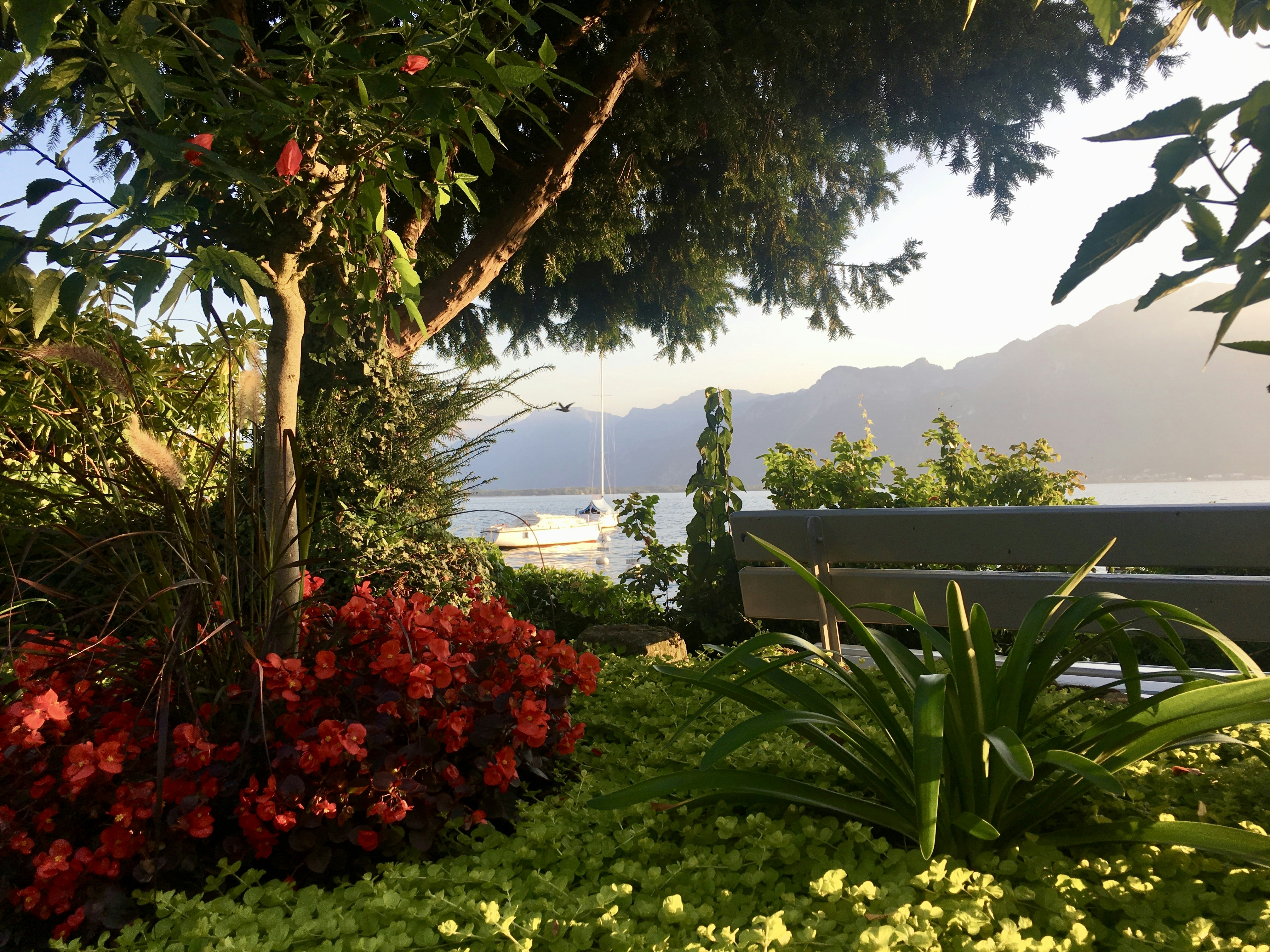 Vibrant red flowers bloom amidst lush greenery, framing a tranquil lakeside view with distant mountains. A peaceful bench invites contemplation.