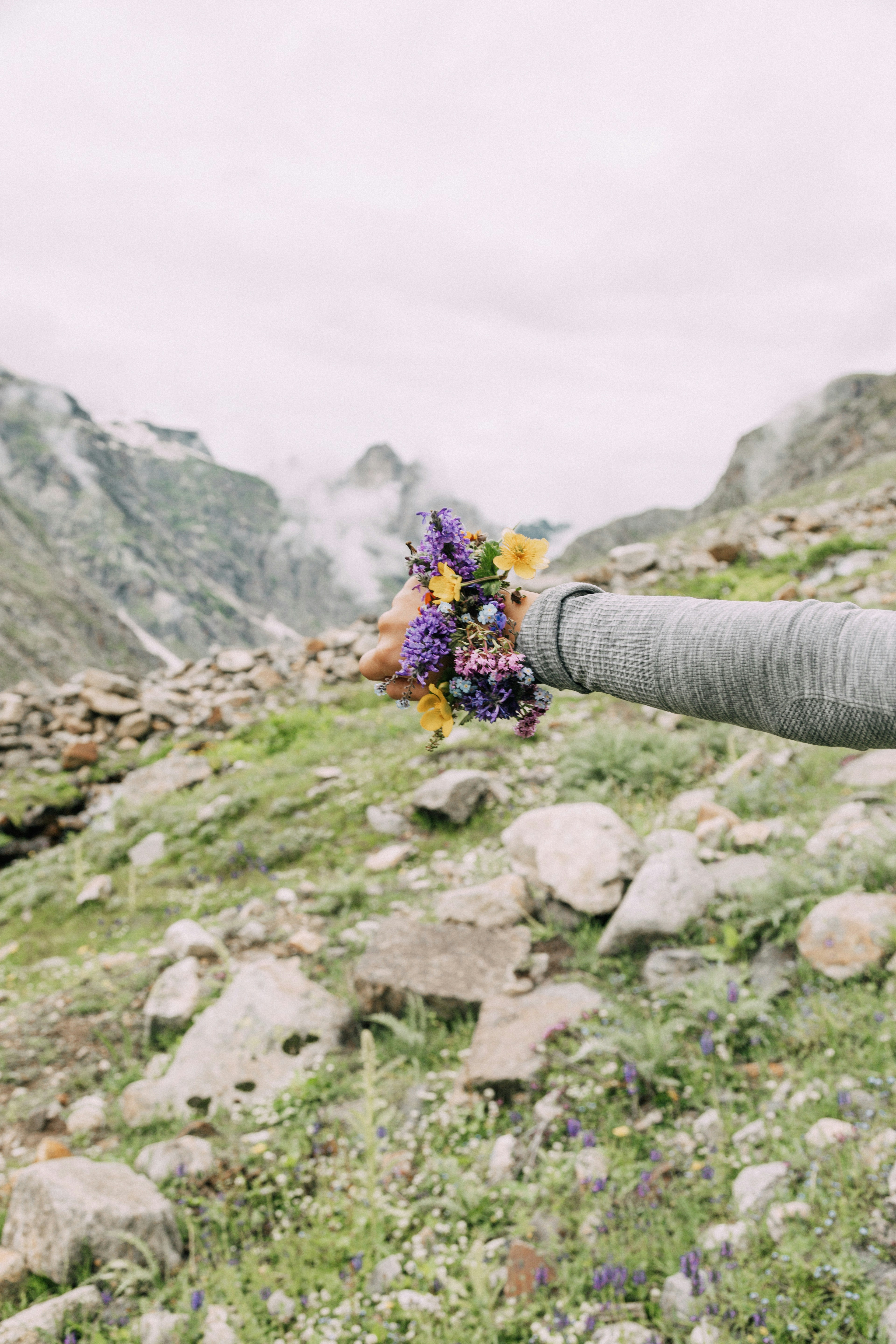 Alpine Bouquet: a hand-held burst of wildflowers against misty peaks