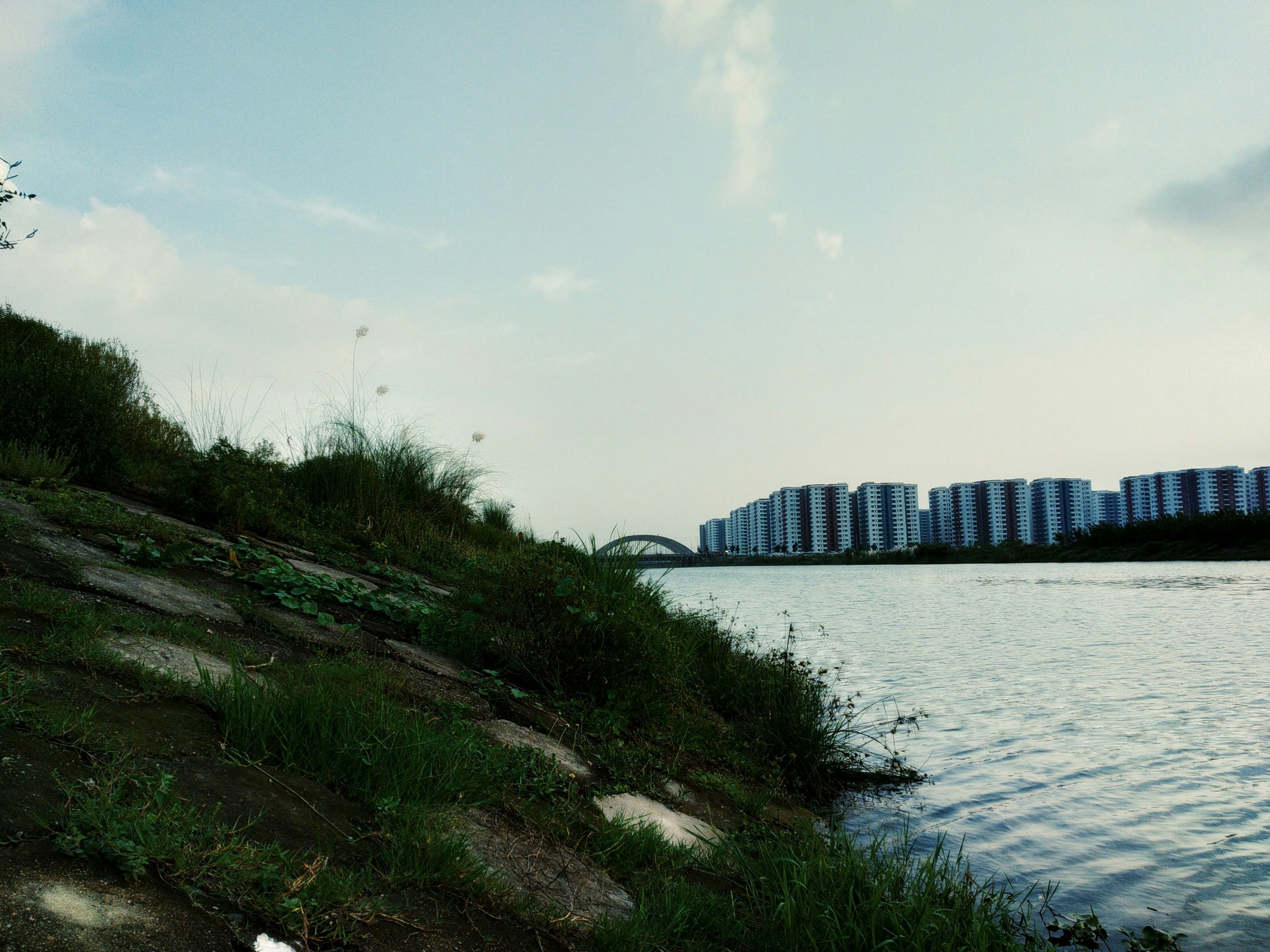 Lush greenery meets a serene riverbank, framed by modern high-rise buildings in the distance. A gentle arching bridge adds a touch of elegance to the scene.