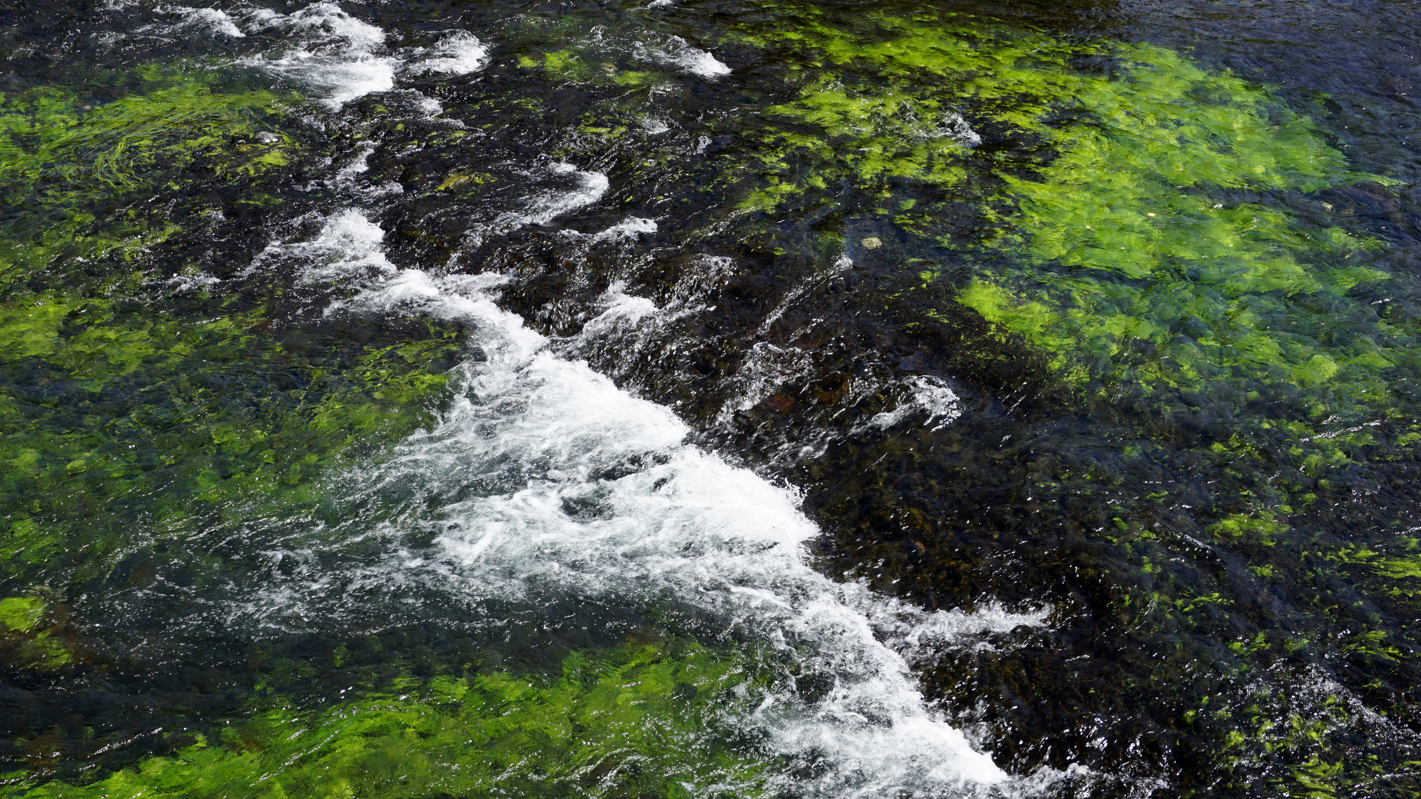 Emerald WaterscapeFrantzou Fleurine