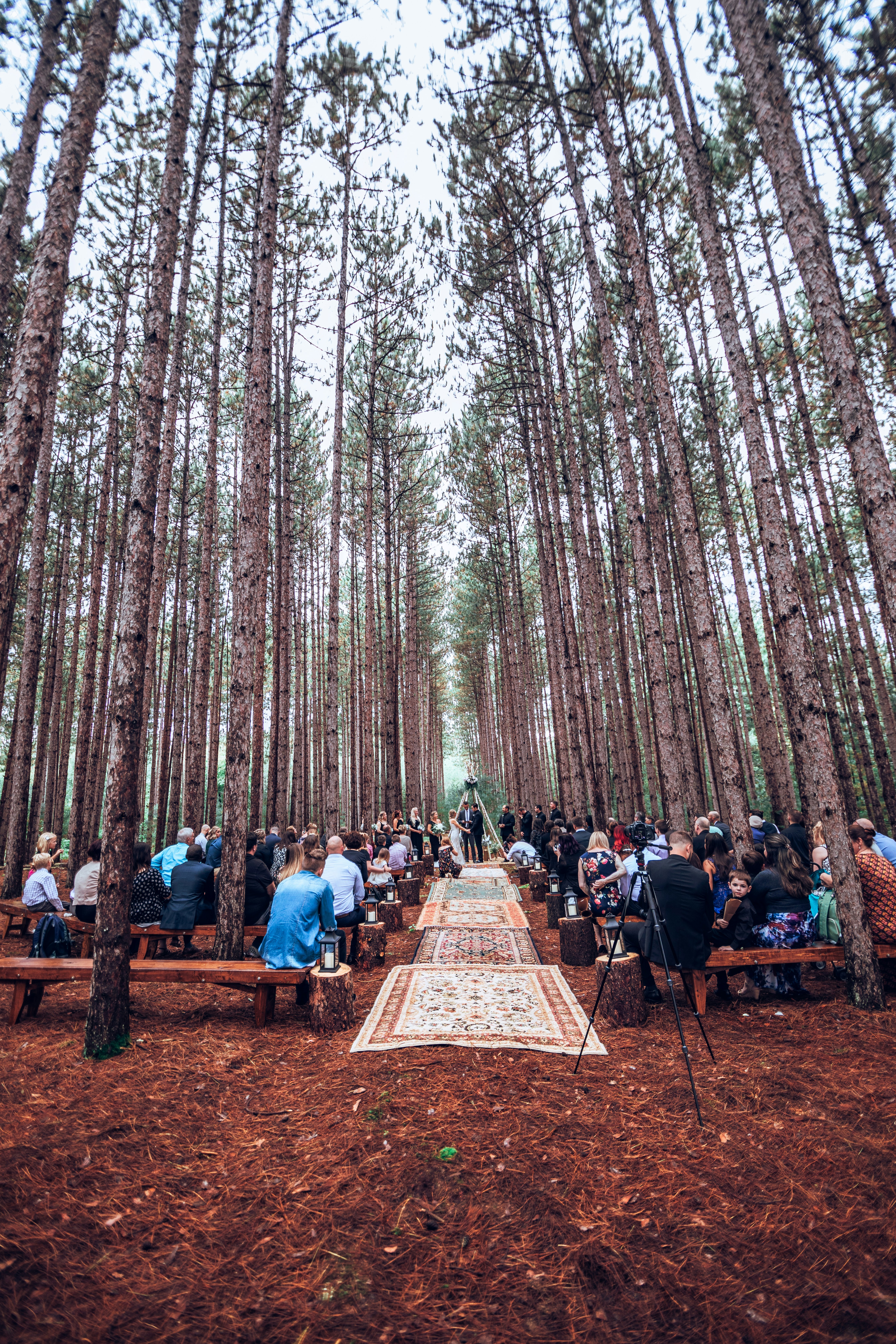 Photo by Justin Lane with Canon EOS 5D Mark IV