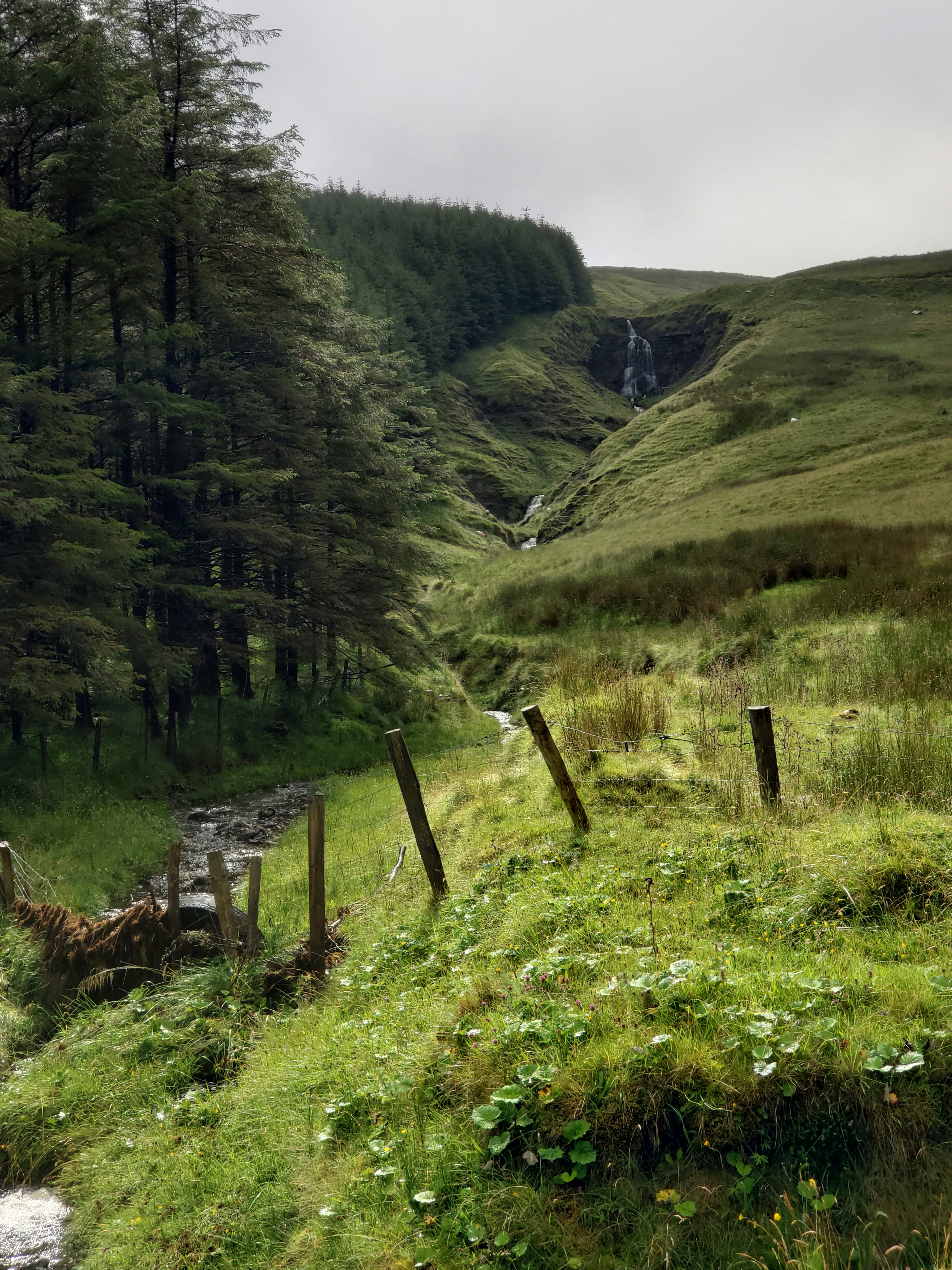 A serene landscape featuring a cascading waterfall nestled among lush greenery and towering trees, with a winding stream cutting through the foreground.