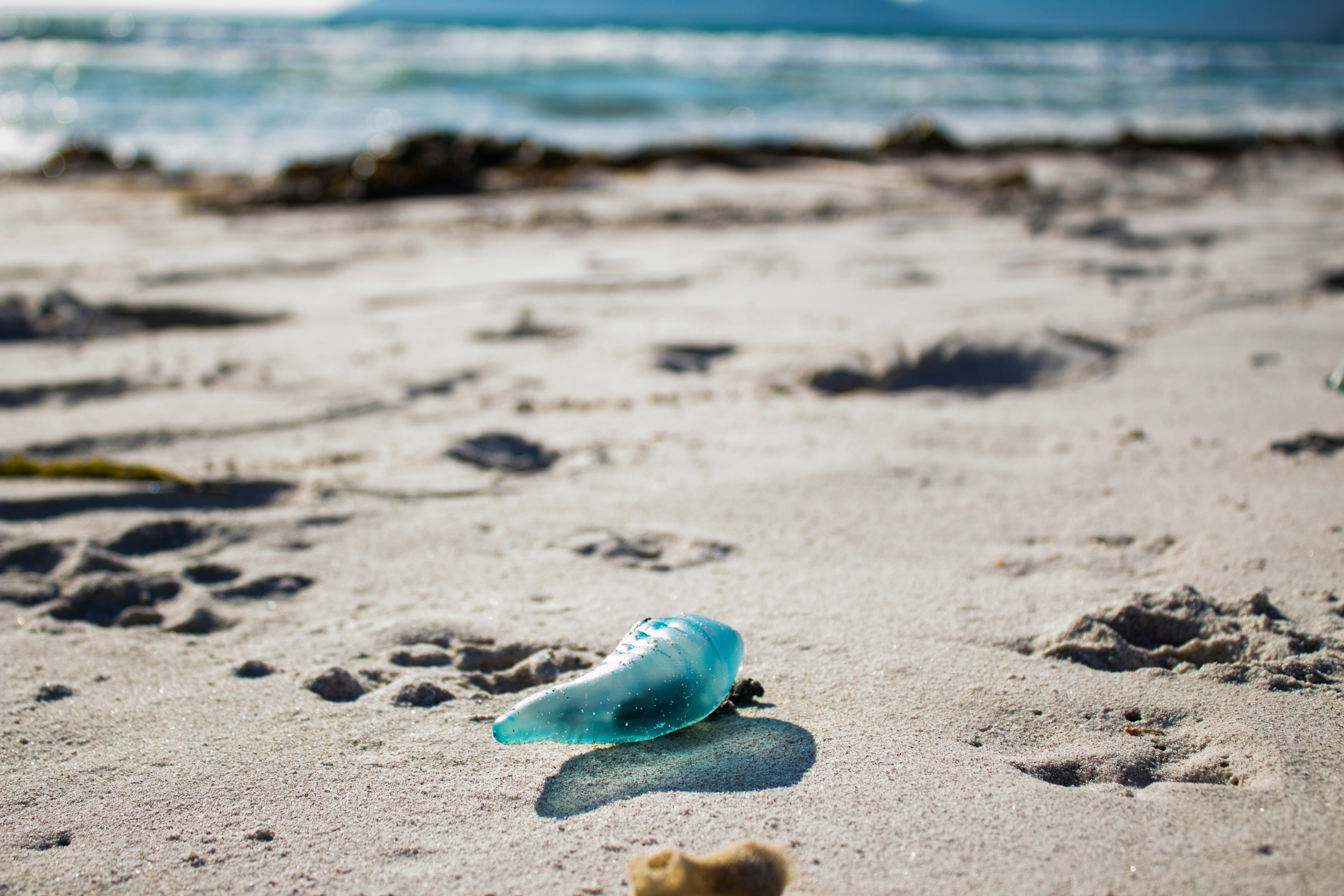 Azure Sea Glass on Sun-Warmed Sand: A Quiet Shoreline Moment