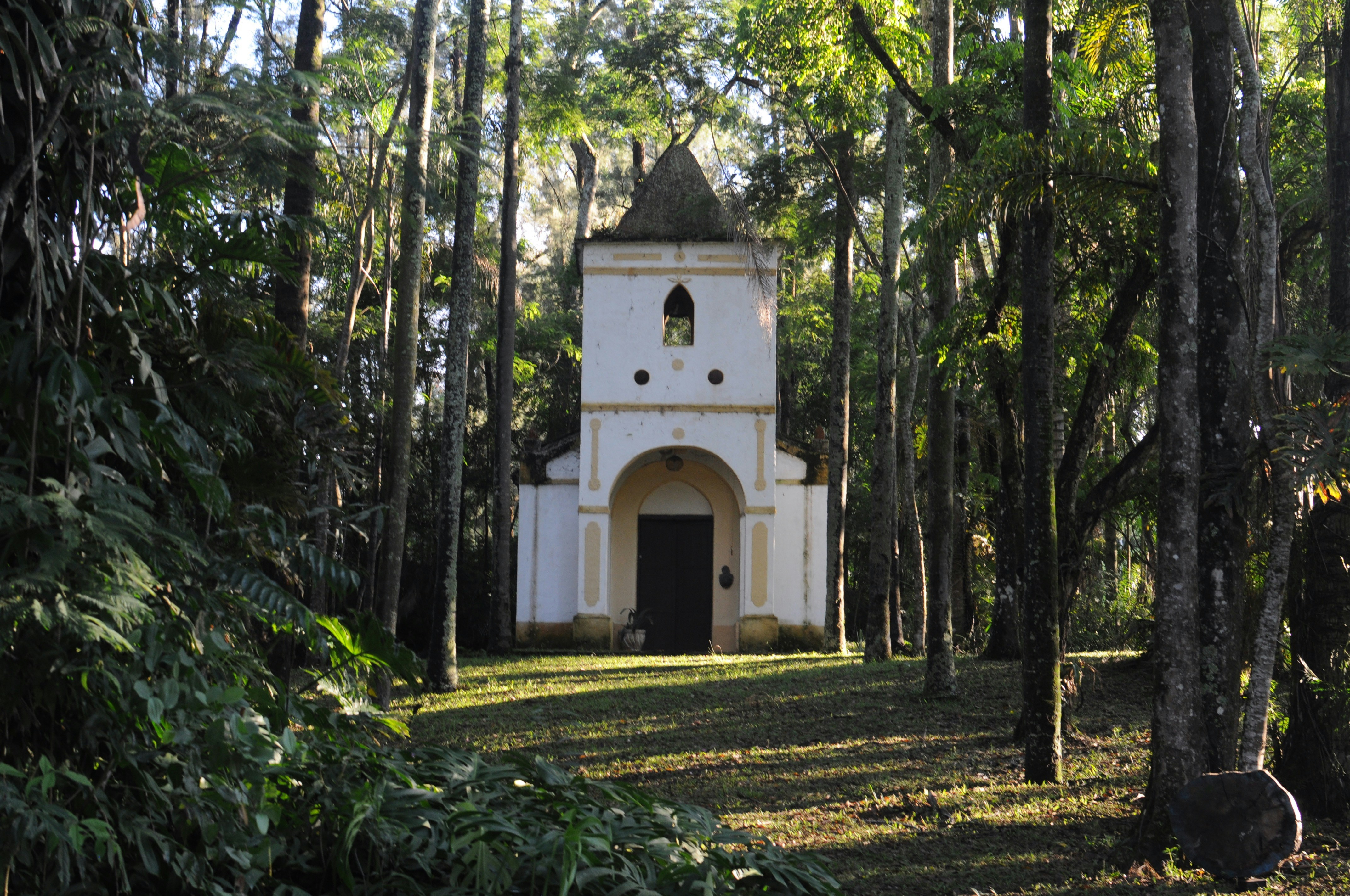 A quaint white chapel nestled among towering trees in a serene forest setting, inviting reflection and tranquility.