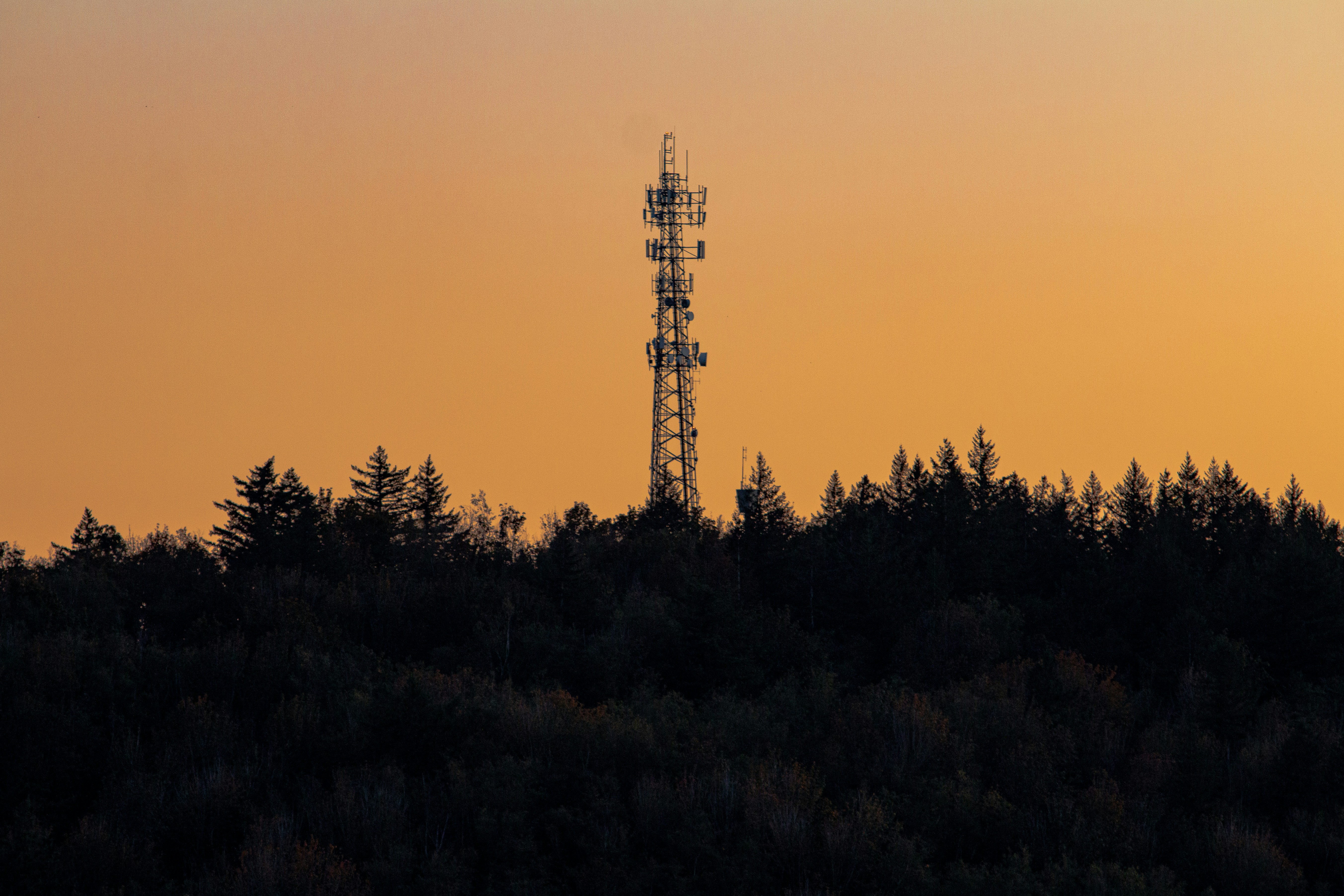 A communication tower rises above a forested landscape, silhouetted against a soft orange sunset sky.