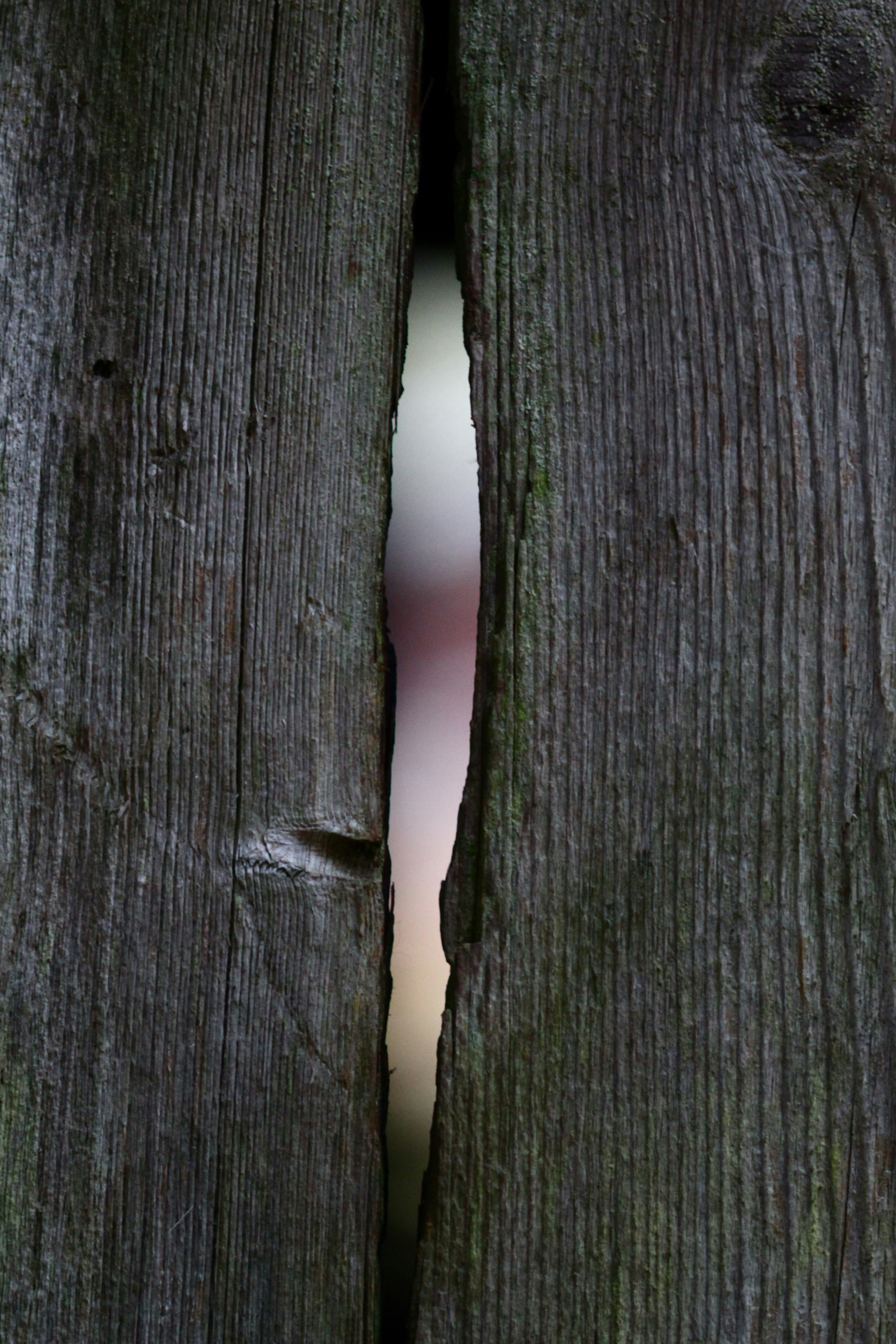 Vein of Light Through Weathered Planks: A Narrow Gap, Quietly Revealed