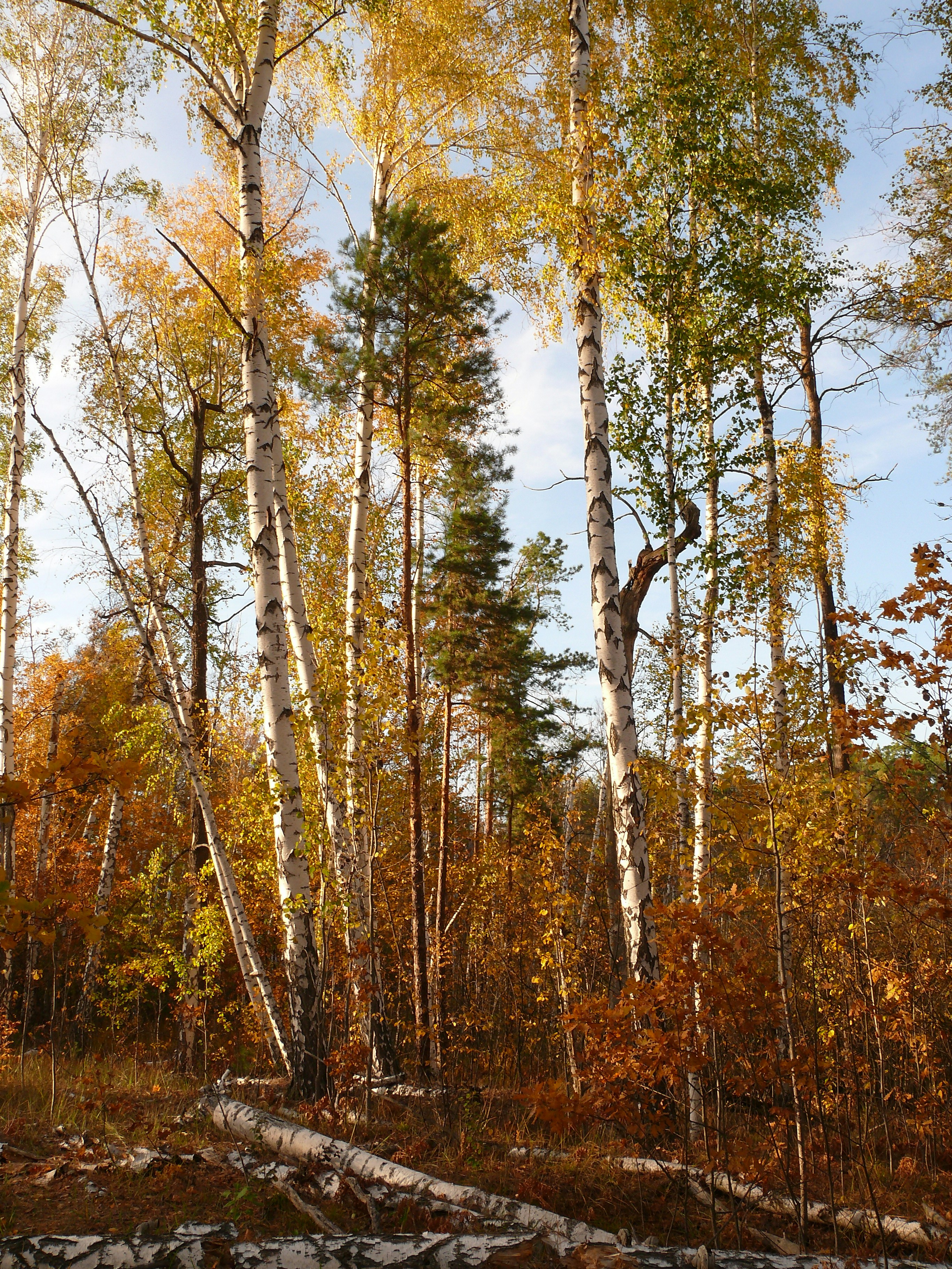 andrey barboz (@barboz) | Komunitas Foto Unsplash