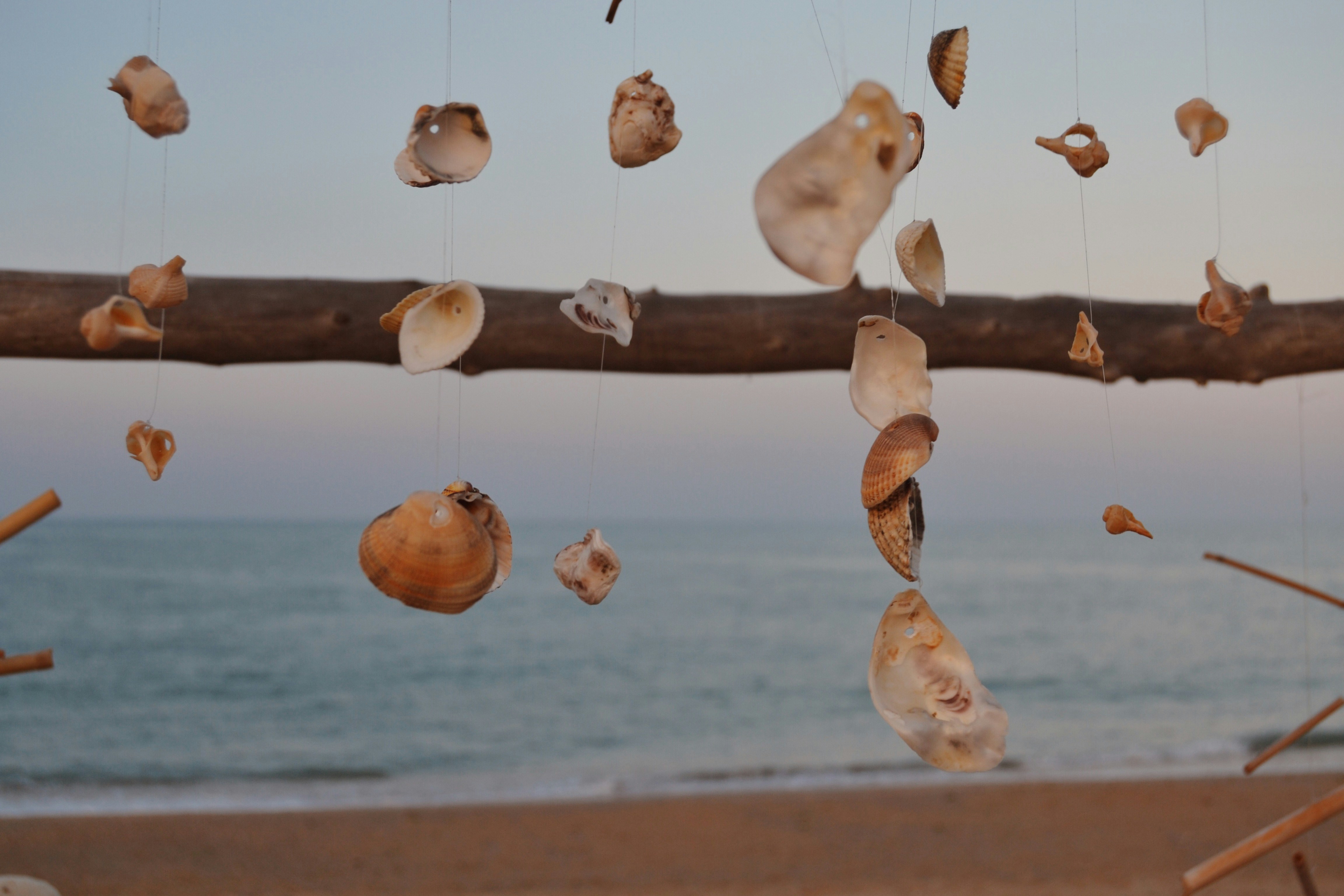 Hanging seashells swaying gently against a serene beach and ocean backdrop at dusk.
