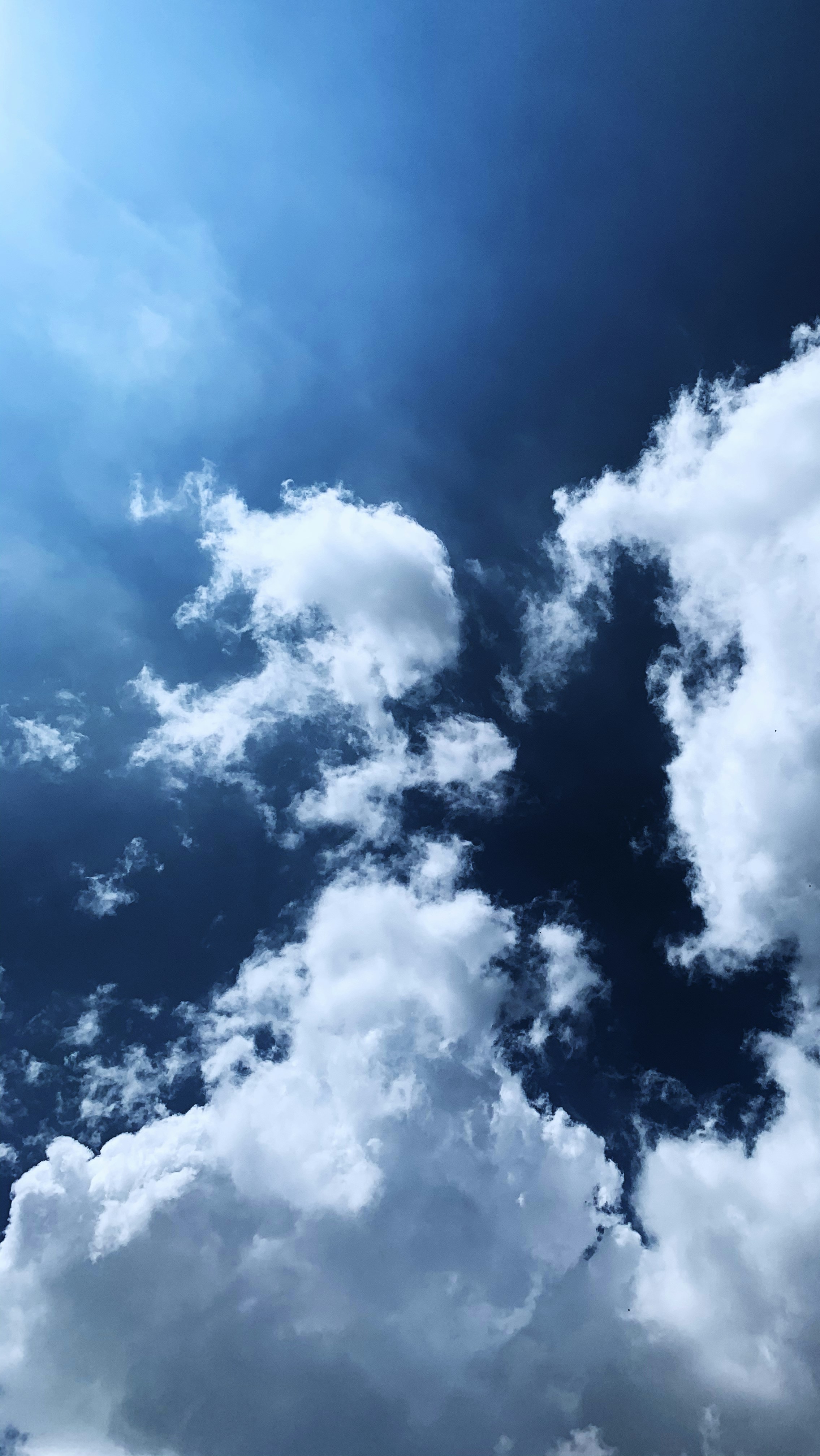 Photo by Derek Duran with Apple iPhone XR