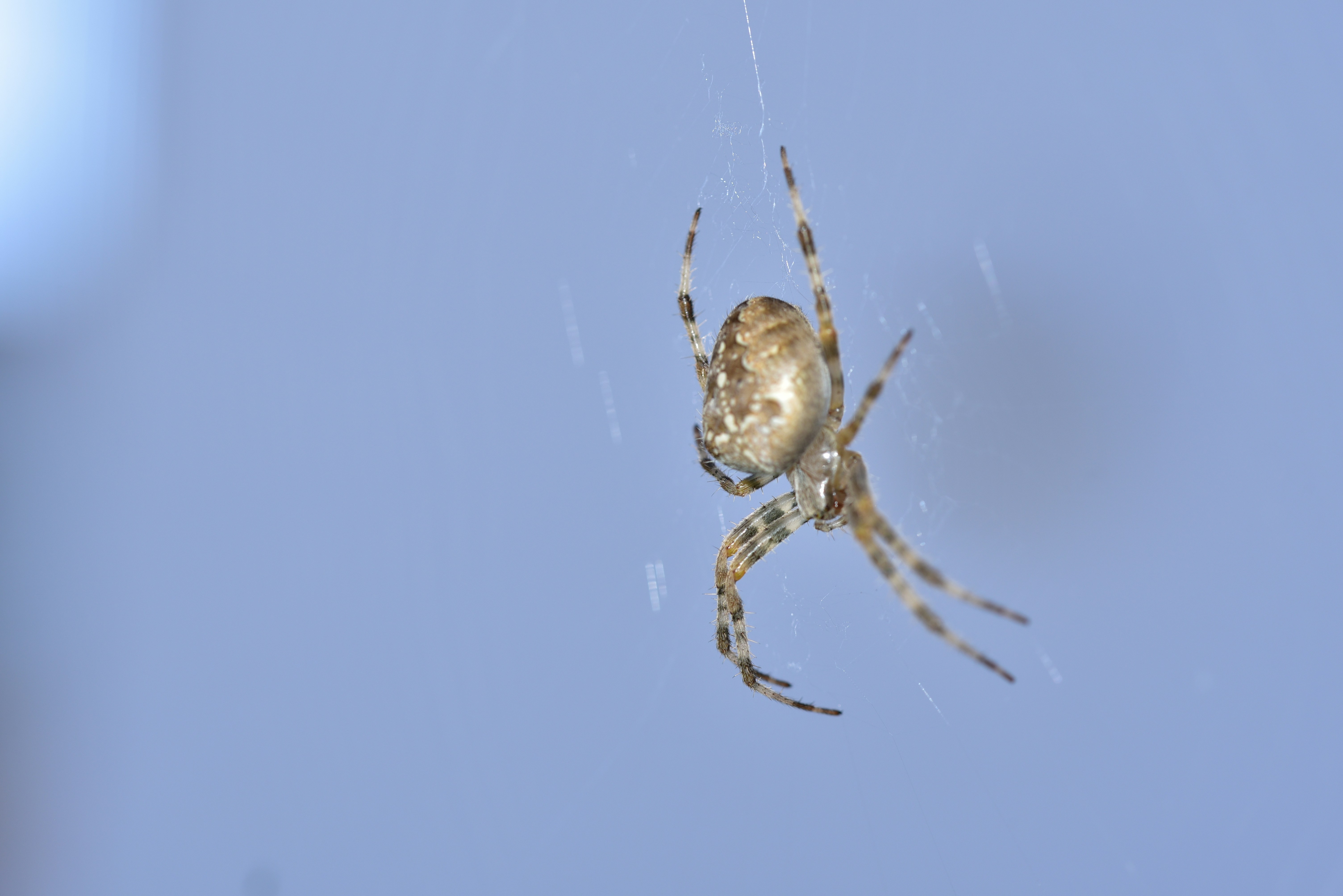 Christos Politis (@christos2018) | Unsplash Photo Community