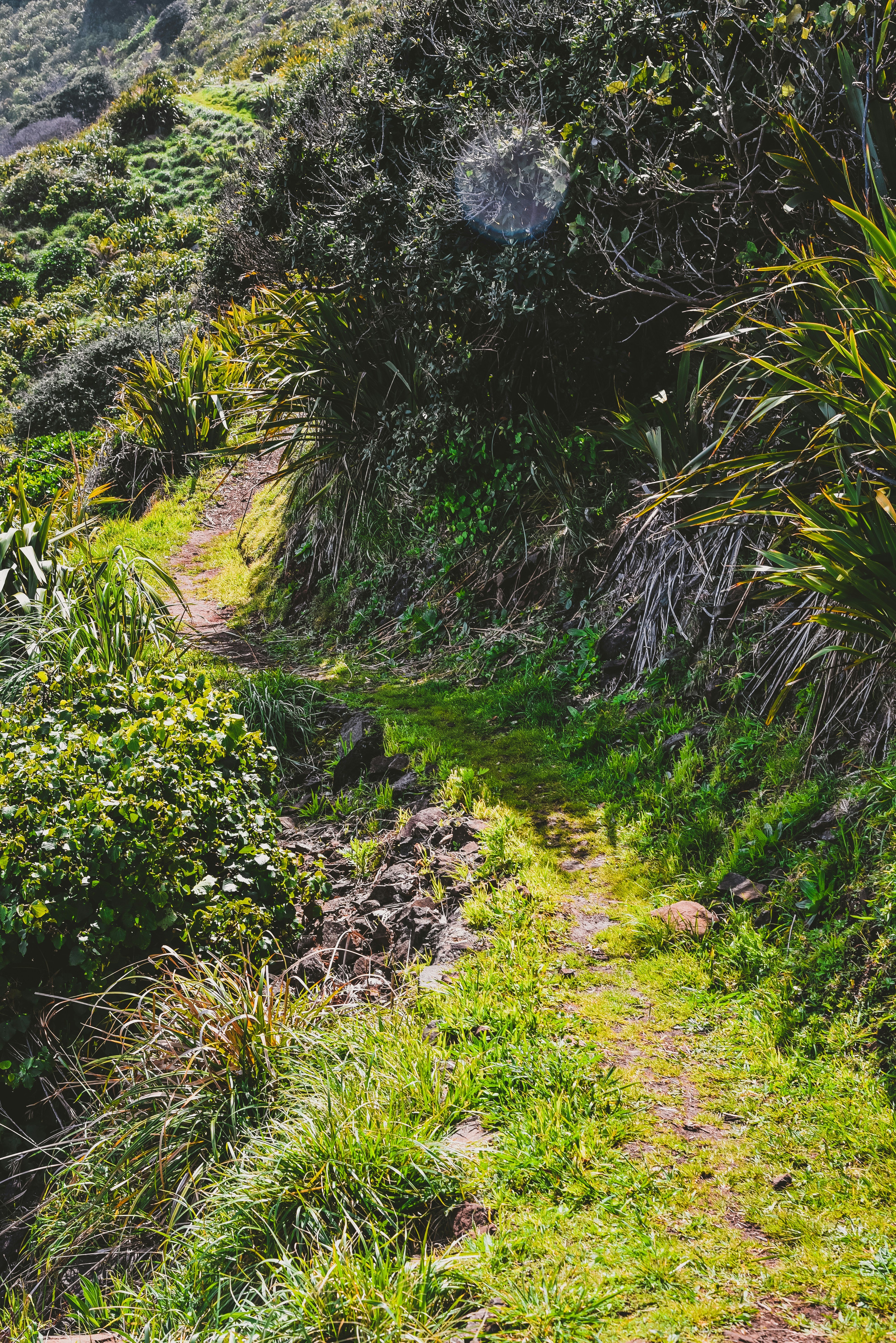 Black Ground Pictures [HQ] | Download Free Images & Stock Photos on ...