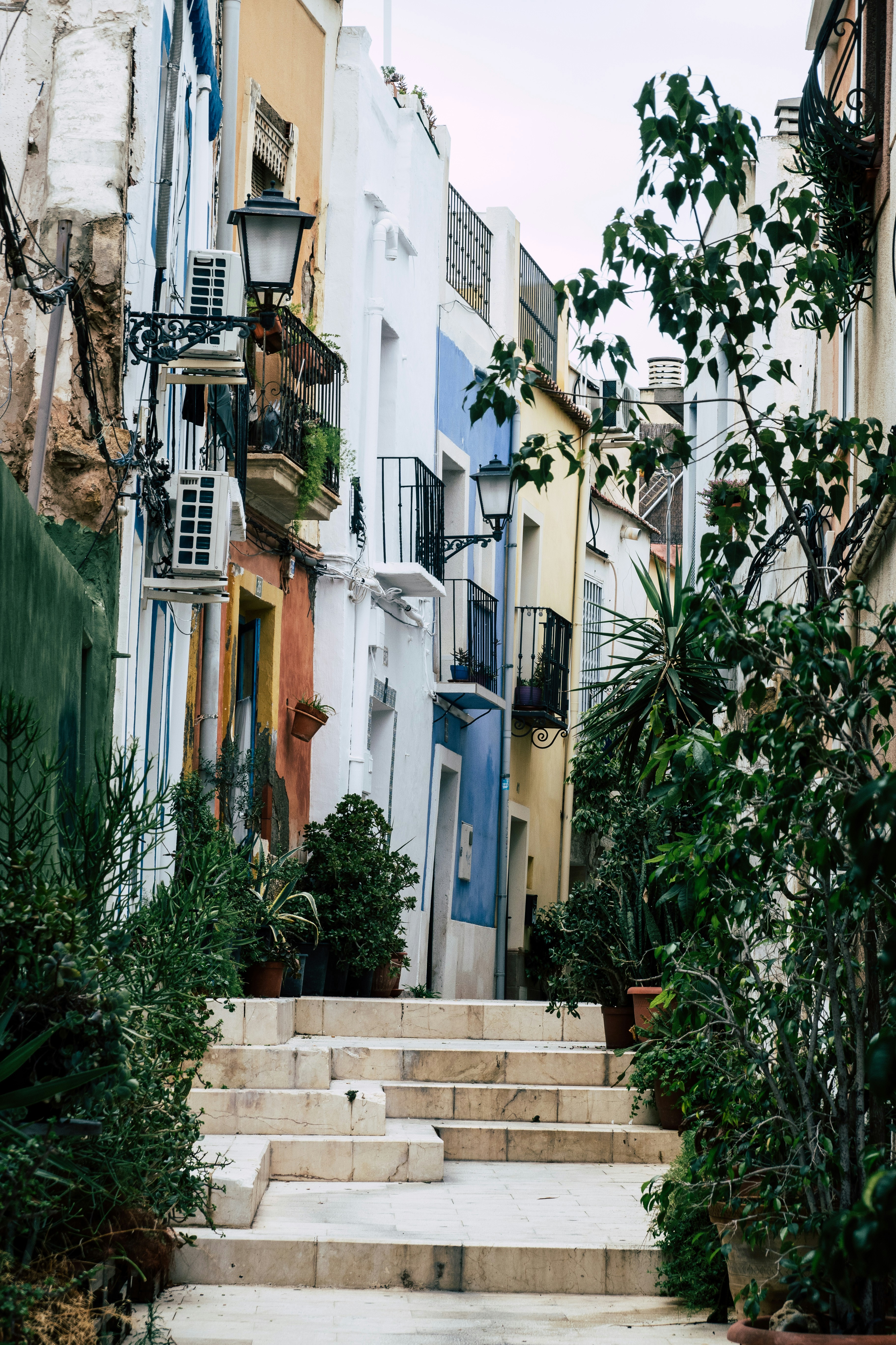 Sample photo from Sony RX100 VII