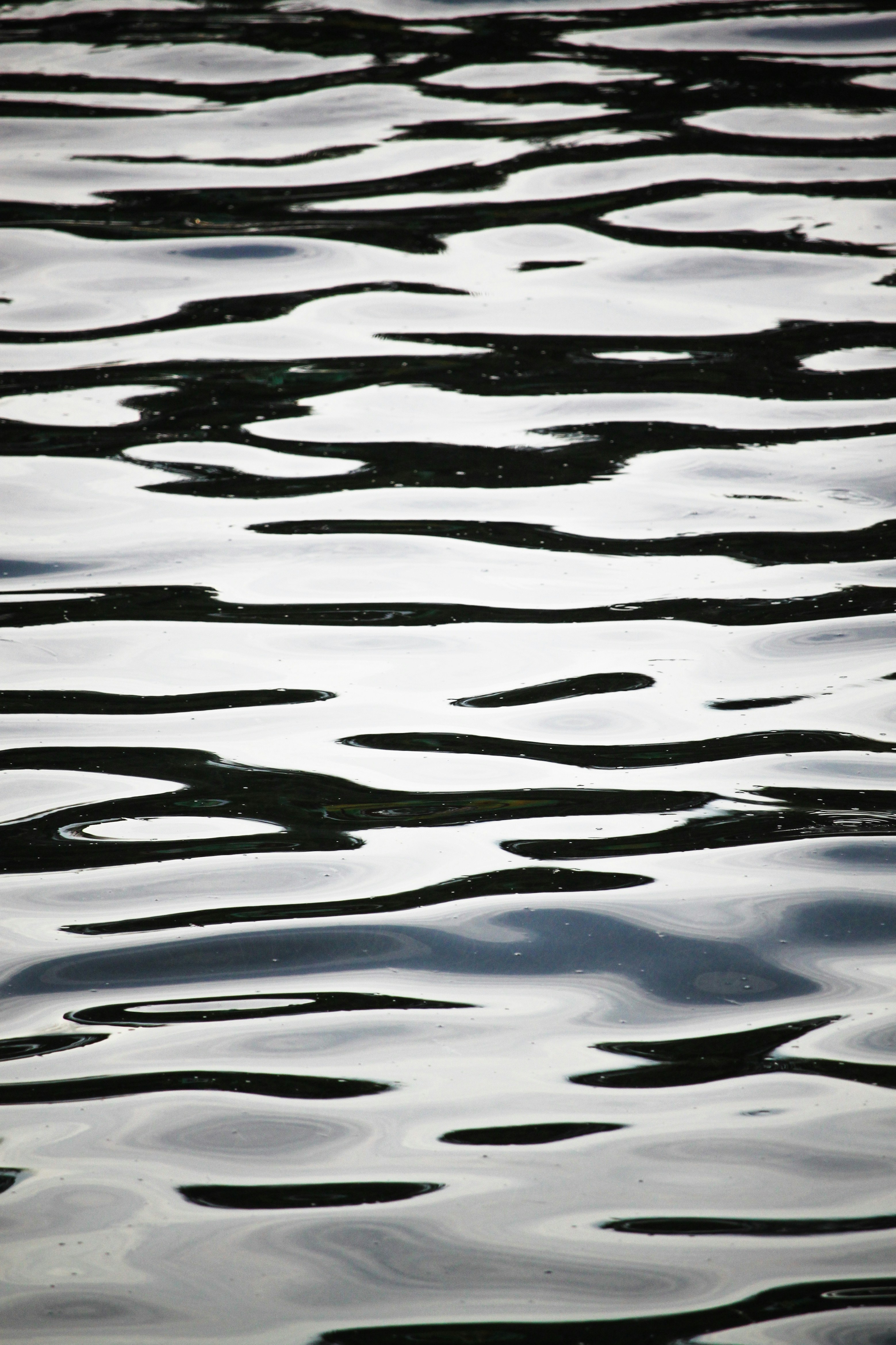 Monochrome Ripples: A Study of Light and Shadow on Water