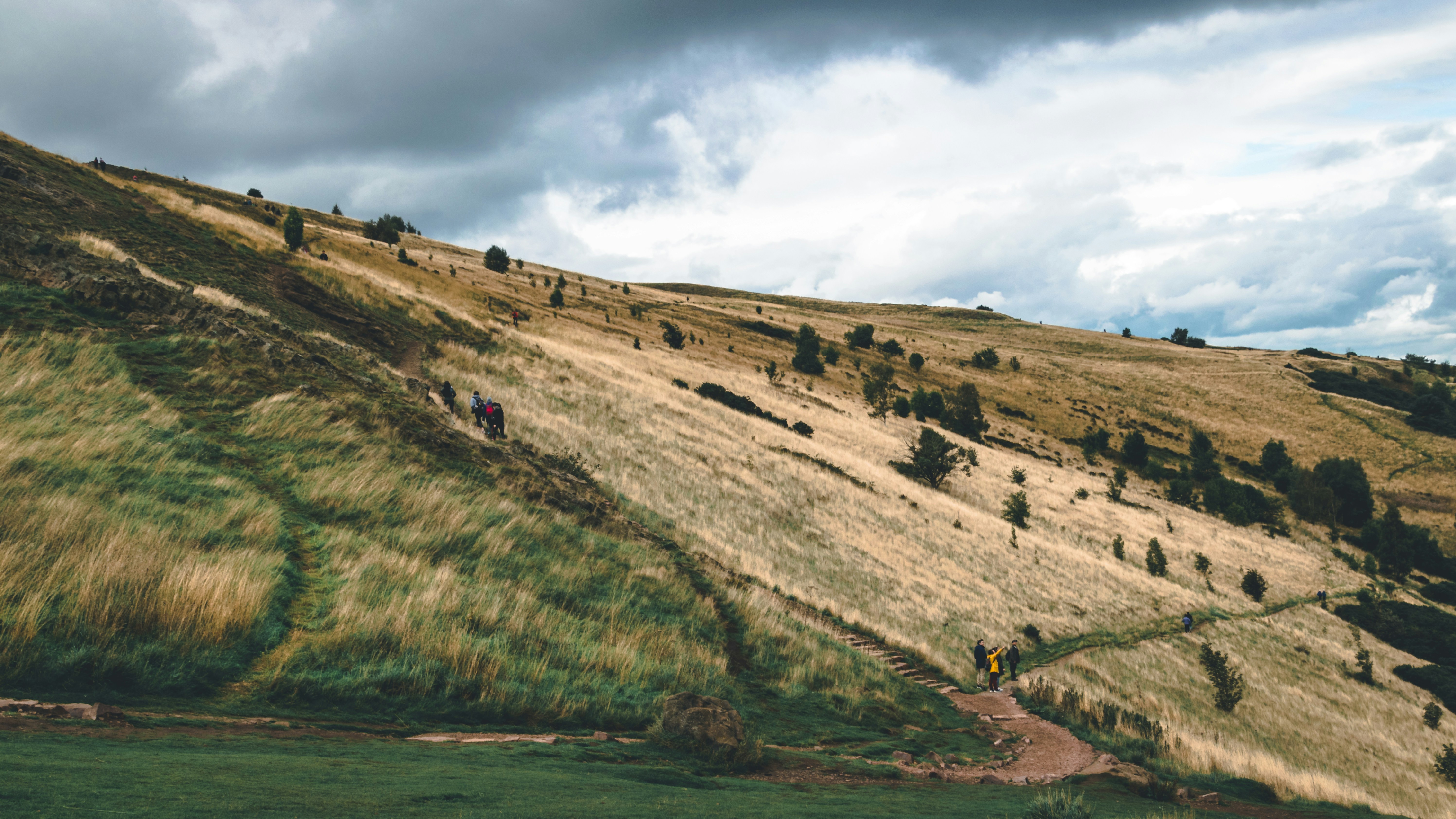 Hikers traverse a golden hillside under a dramatic sky, showcasing the beauty of nature's textures and colors.