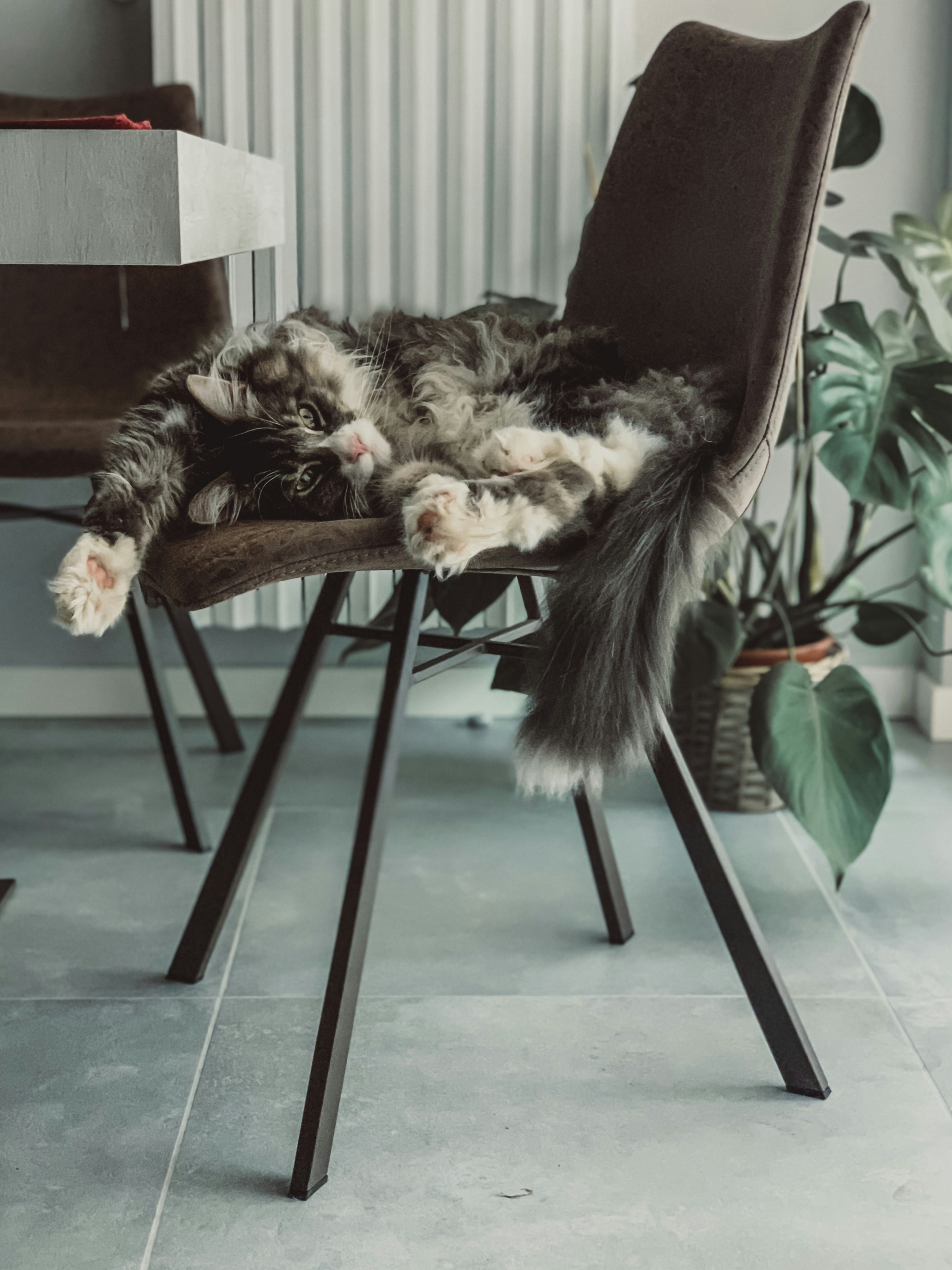 Sample photo from Apple iPhone XS Max