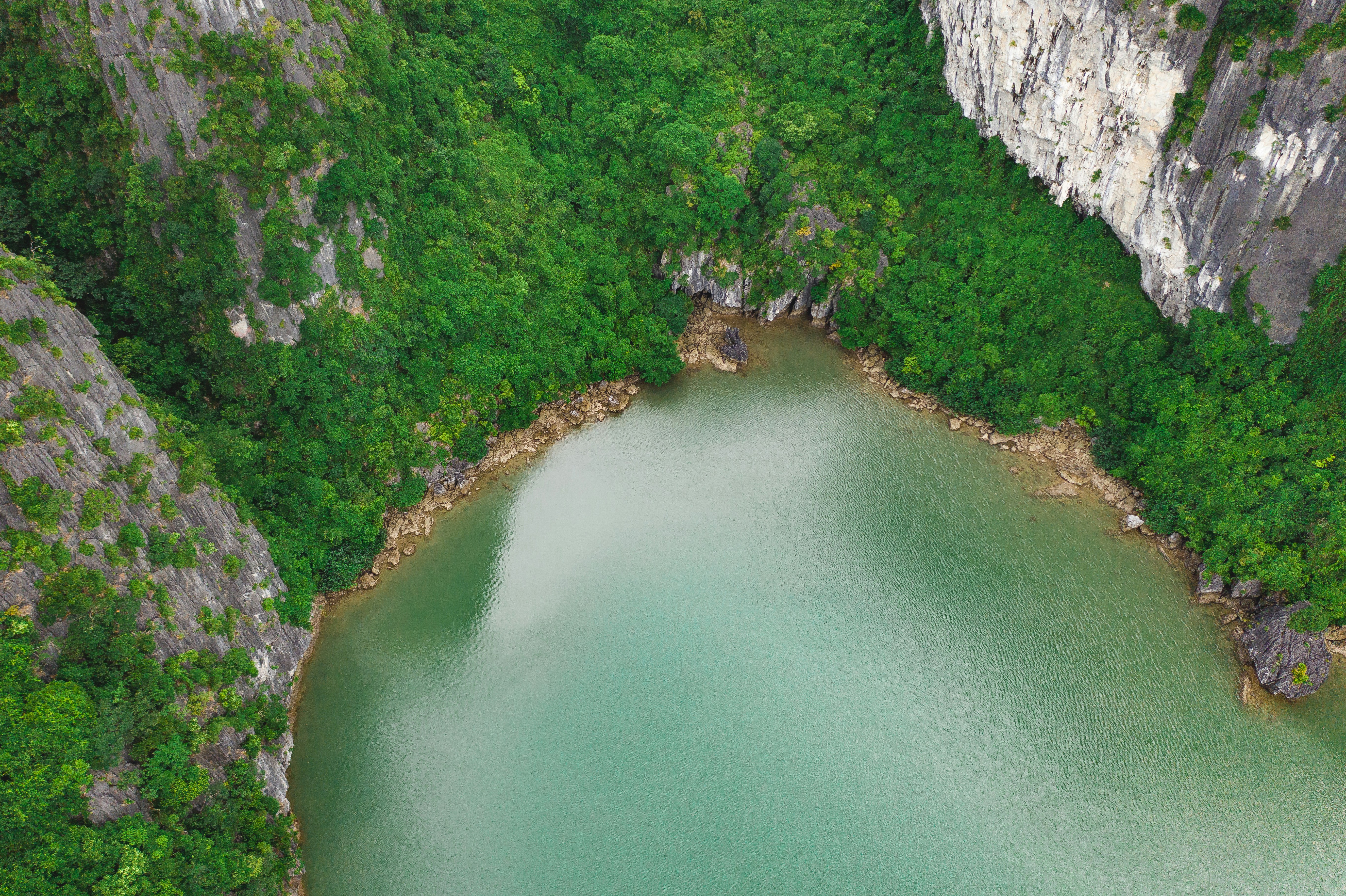 Aerial view of a tranquil cove bordered by lush green foliage and steep rocky cliffs.