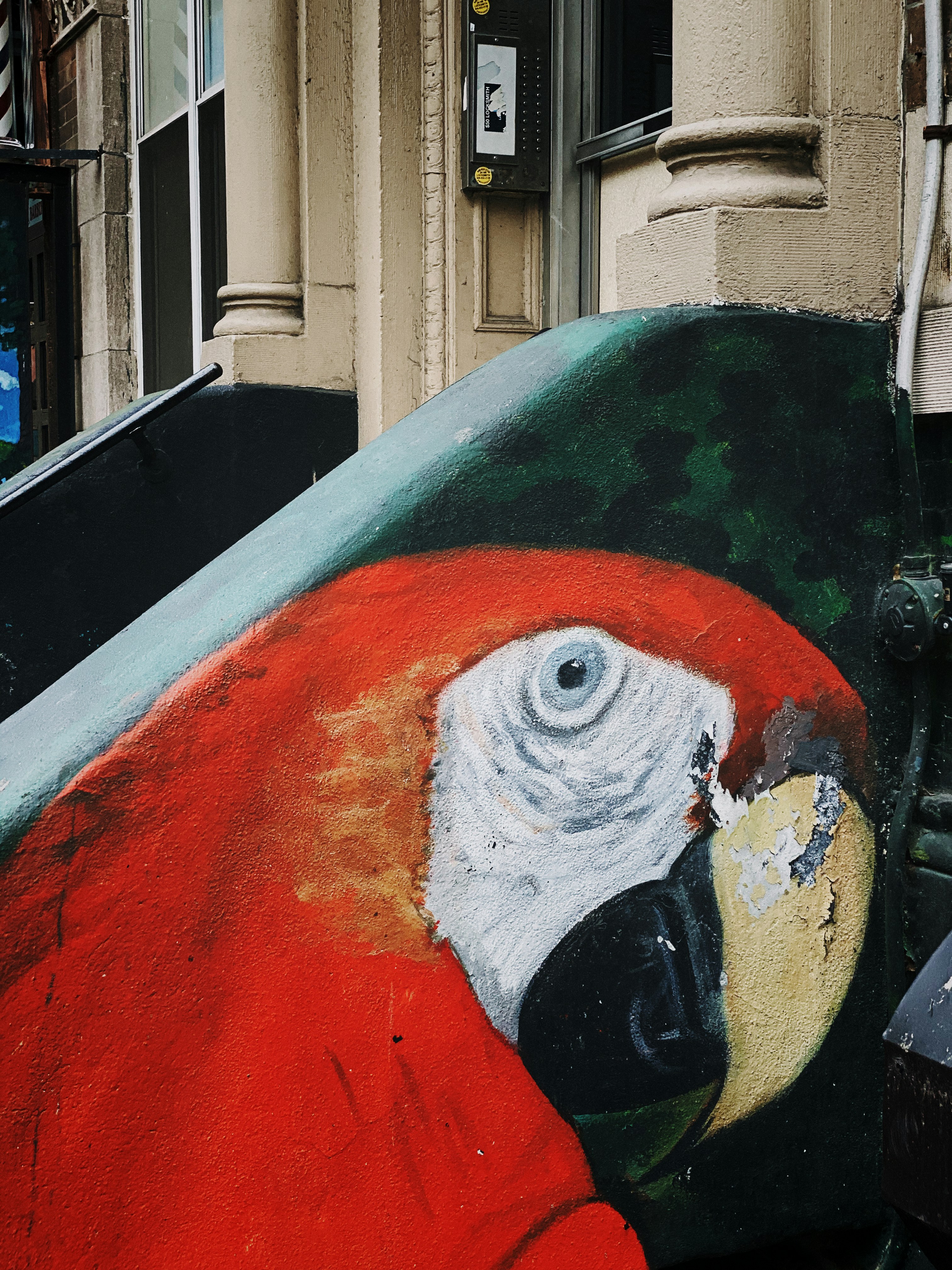 Vivid Parrot Maze: Street Art on a Weathered Stairwell