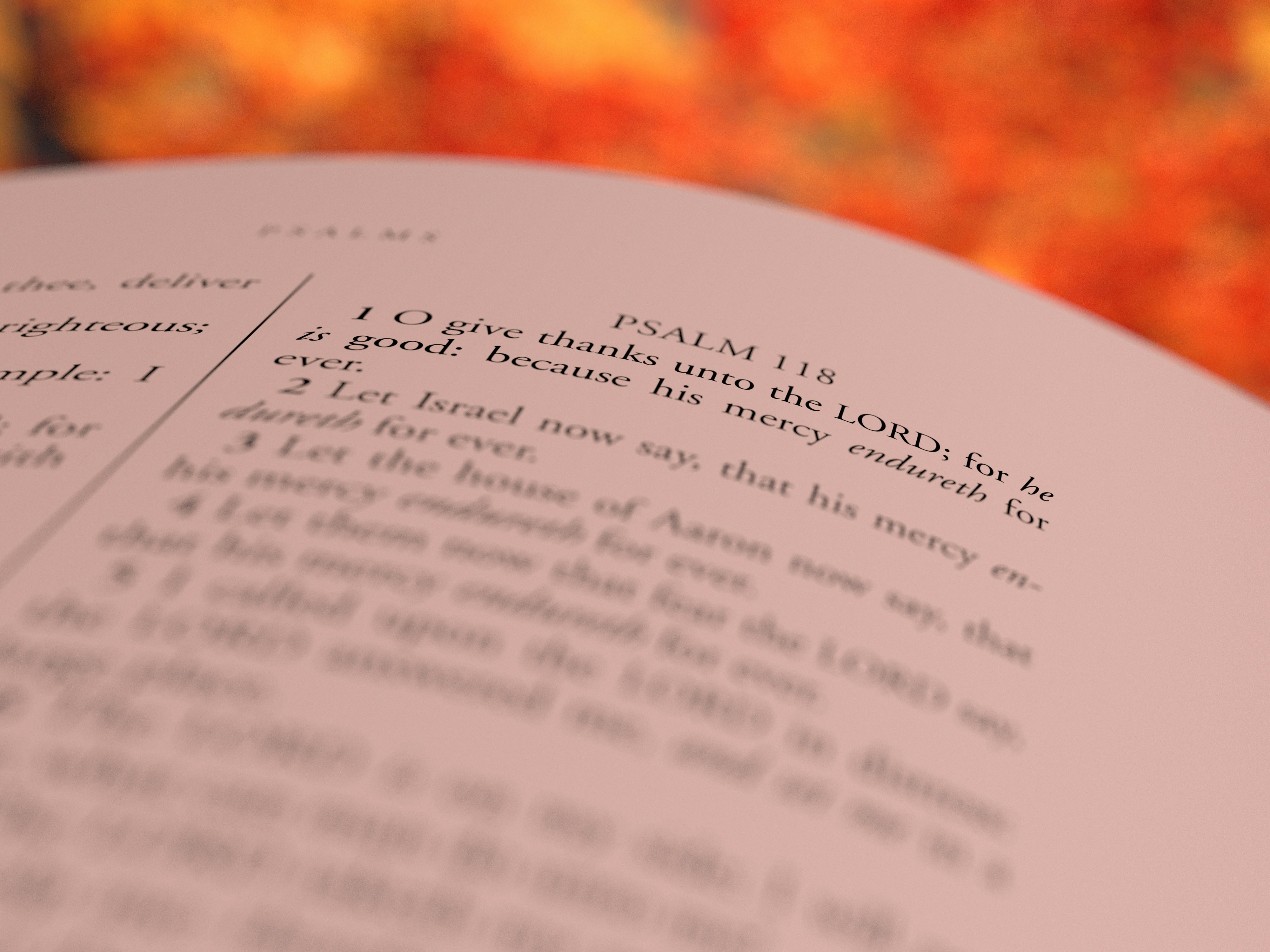 Définition de roman-document | Dictionnaire français