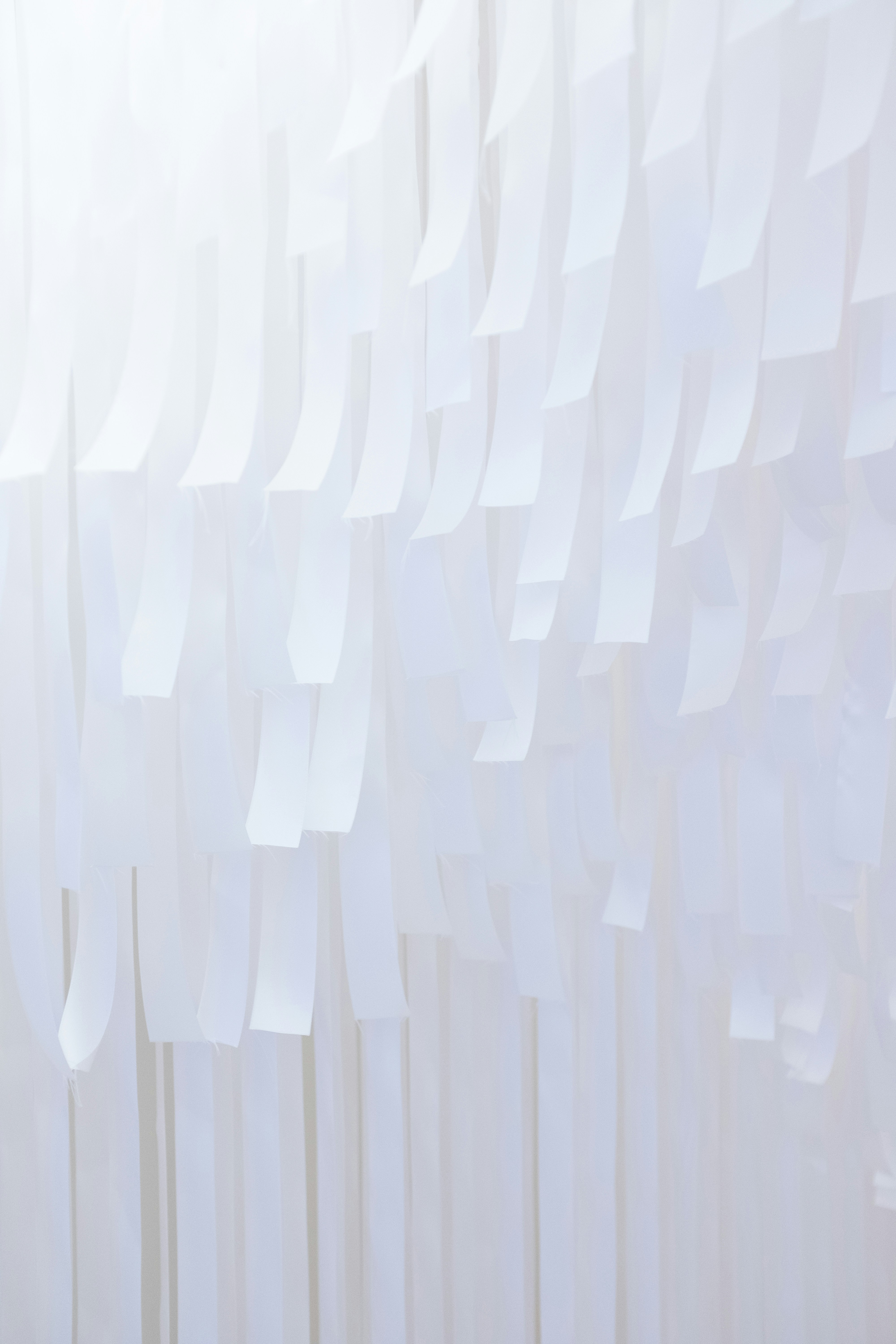 A white wall that has a bunch of strips of paper on it photo – Free ...
