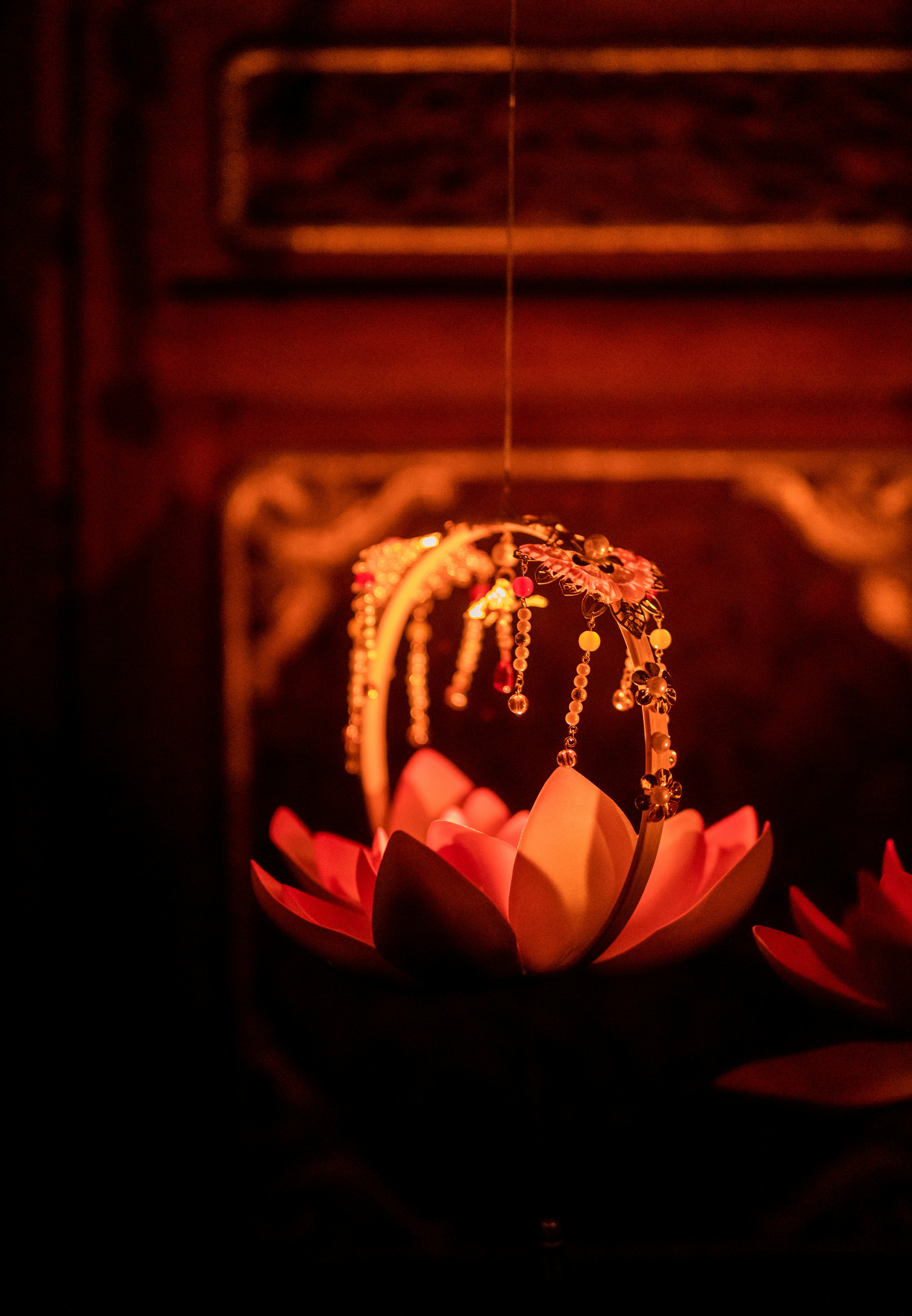 Foto Luz LED de flor rosa – Imagen Planta gratis en Unsplash