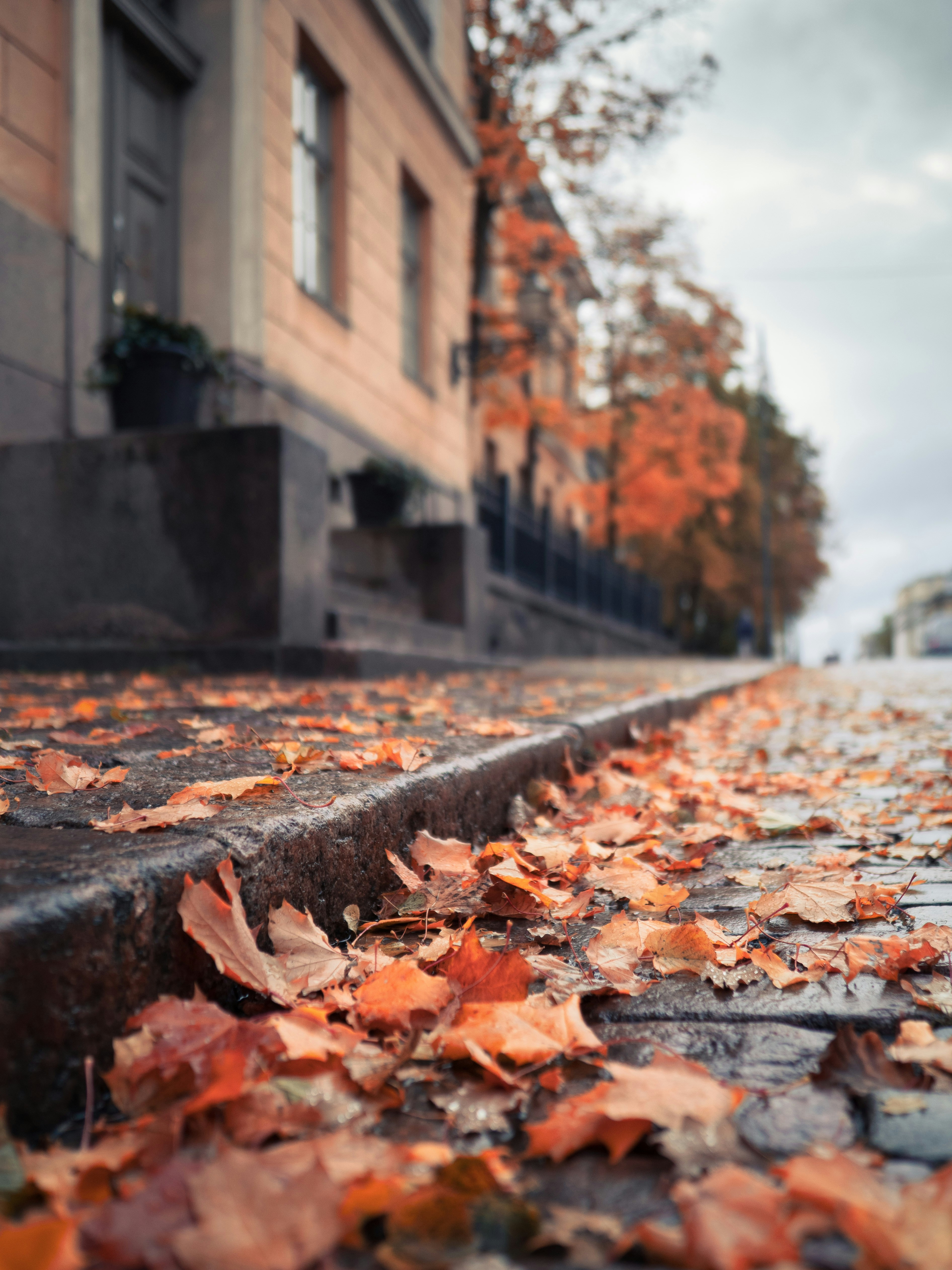 Colorful autumn leaves blanket a cobblestone sidewalk, framed by historic buildings and trees, capturing the essence of the season.